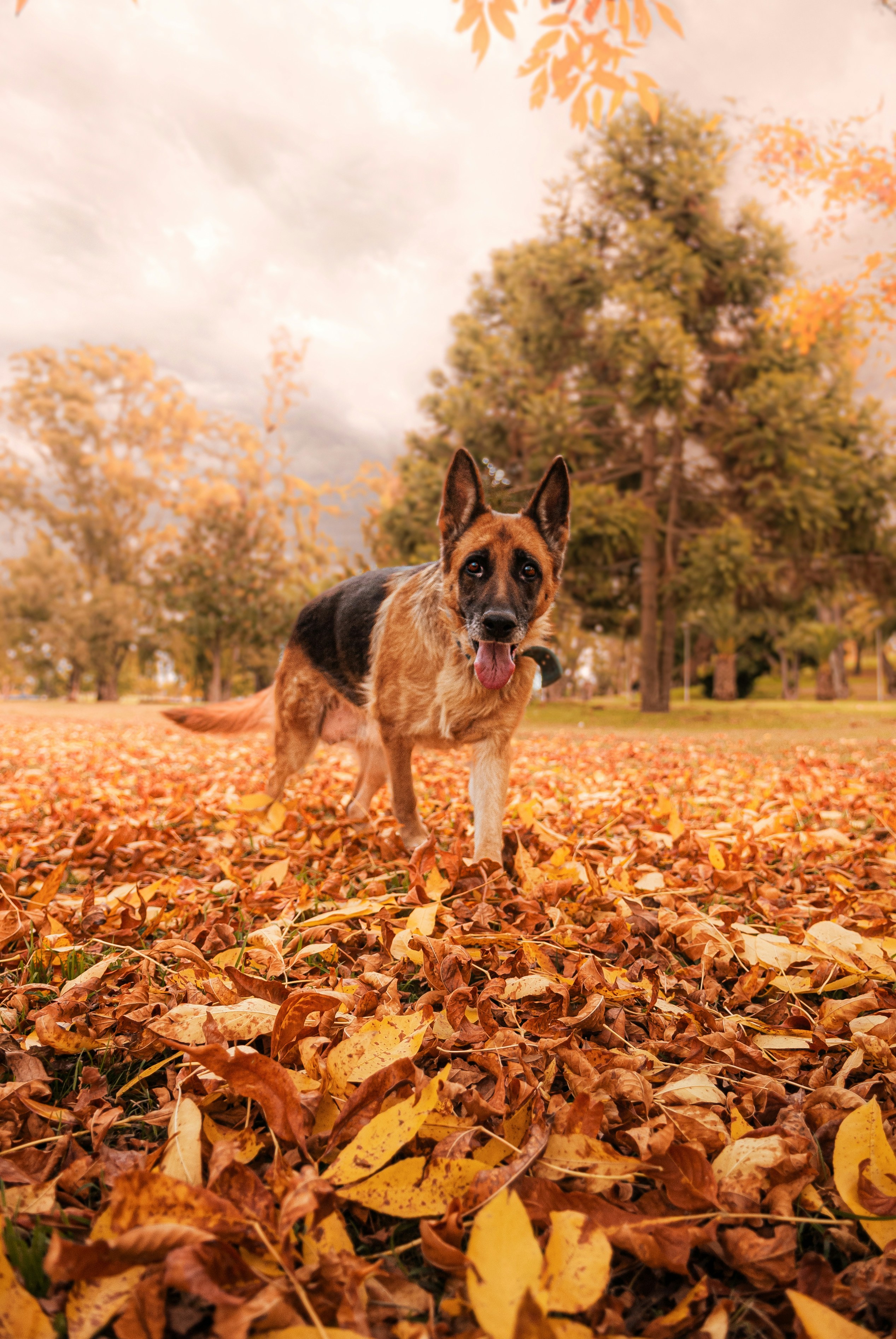 Photo by Rafael Hoyos Weht with Nikon D200