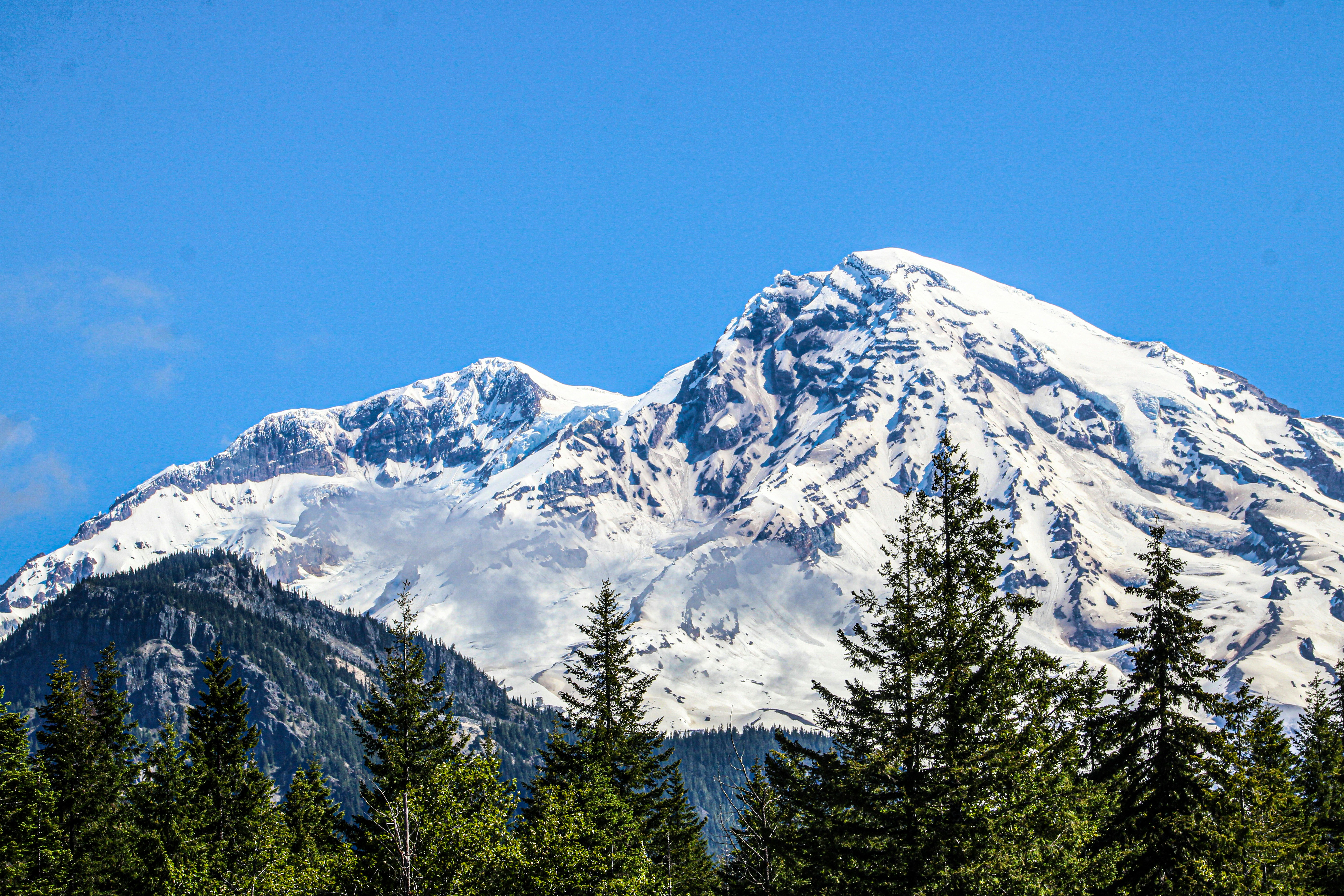 A large snow covered mountain towering over a forest photo – Free Mount ...