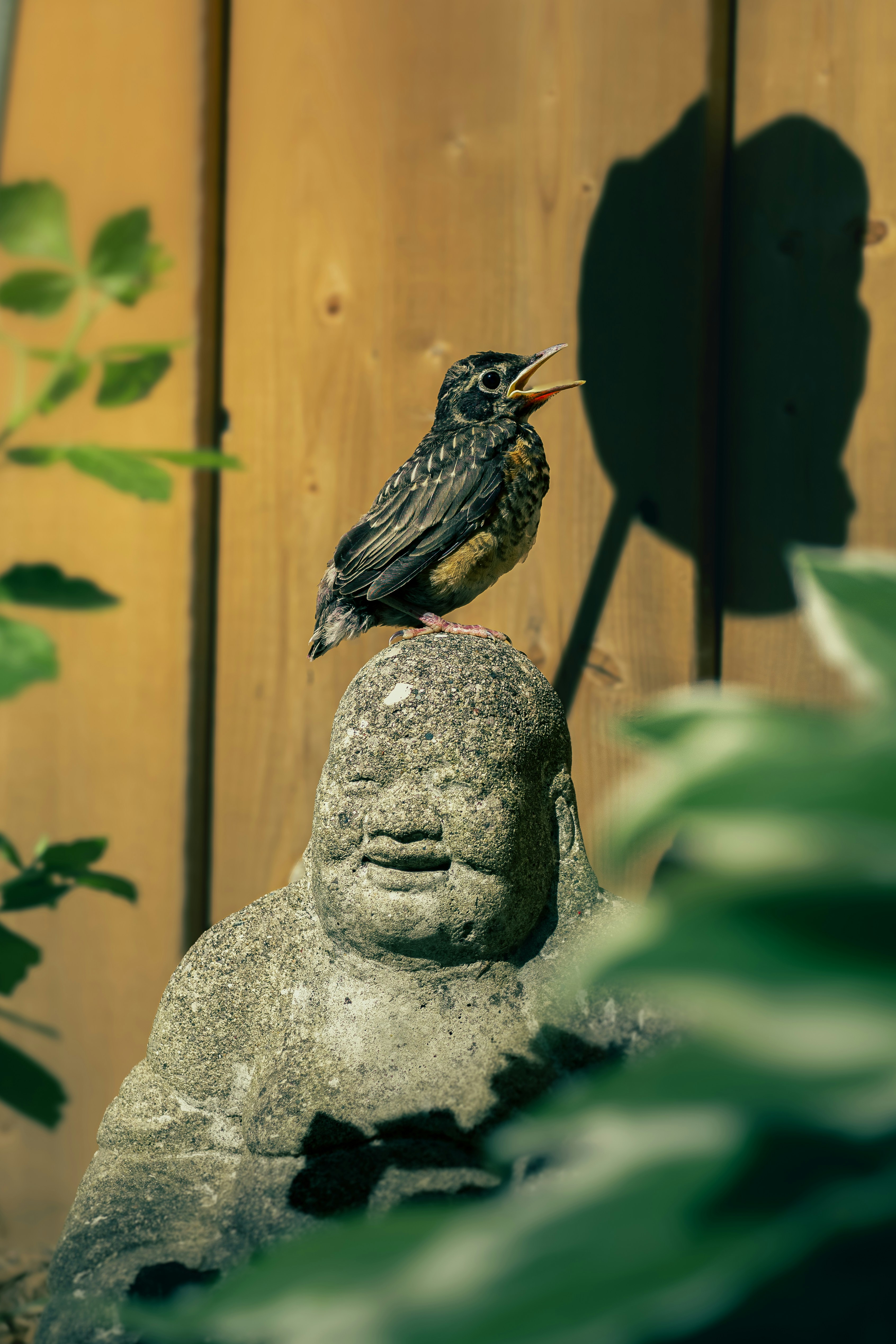 Warbler on a Weathered Guardian: A Moment of Garden Quiet