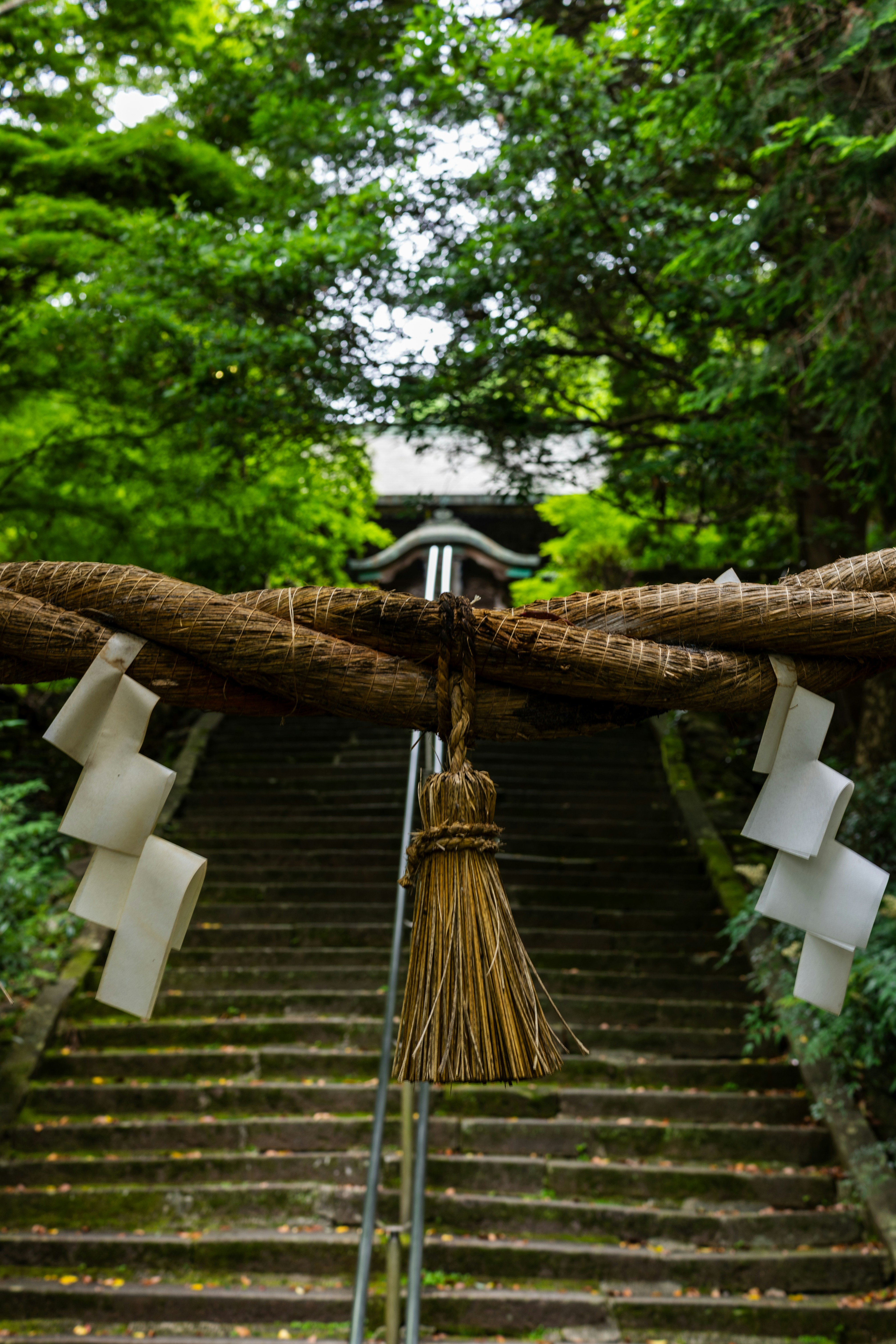 Center Tassel of Sacred Rope Framing a Shinto Stairway