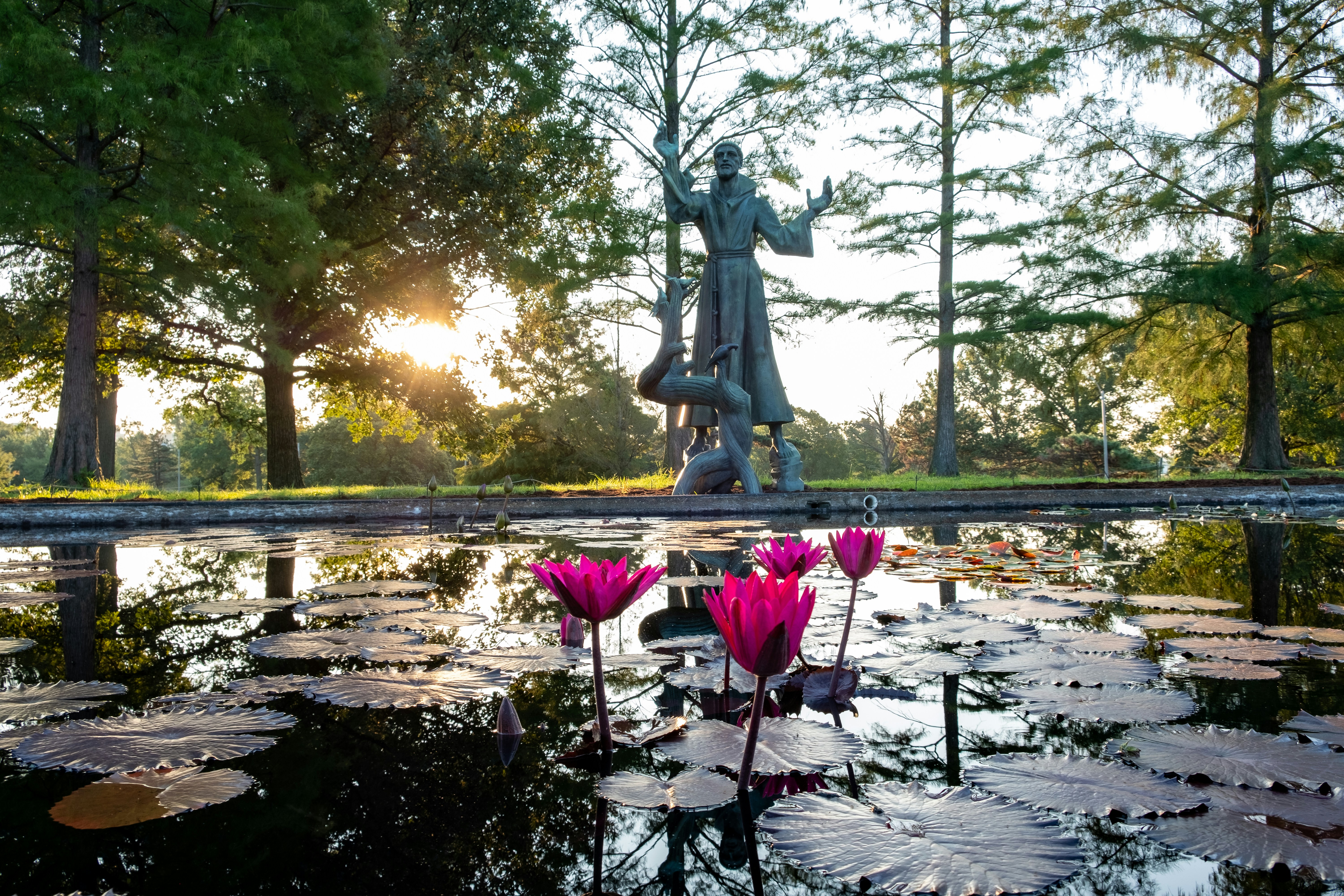 Dusk Reverie by the Lily Pond: A Statue Bathed in Golden Light