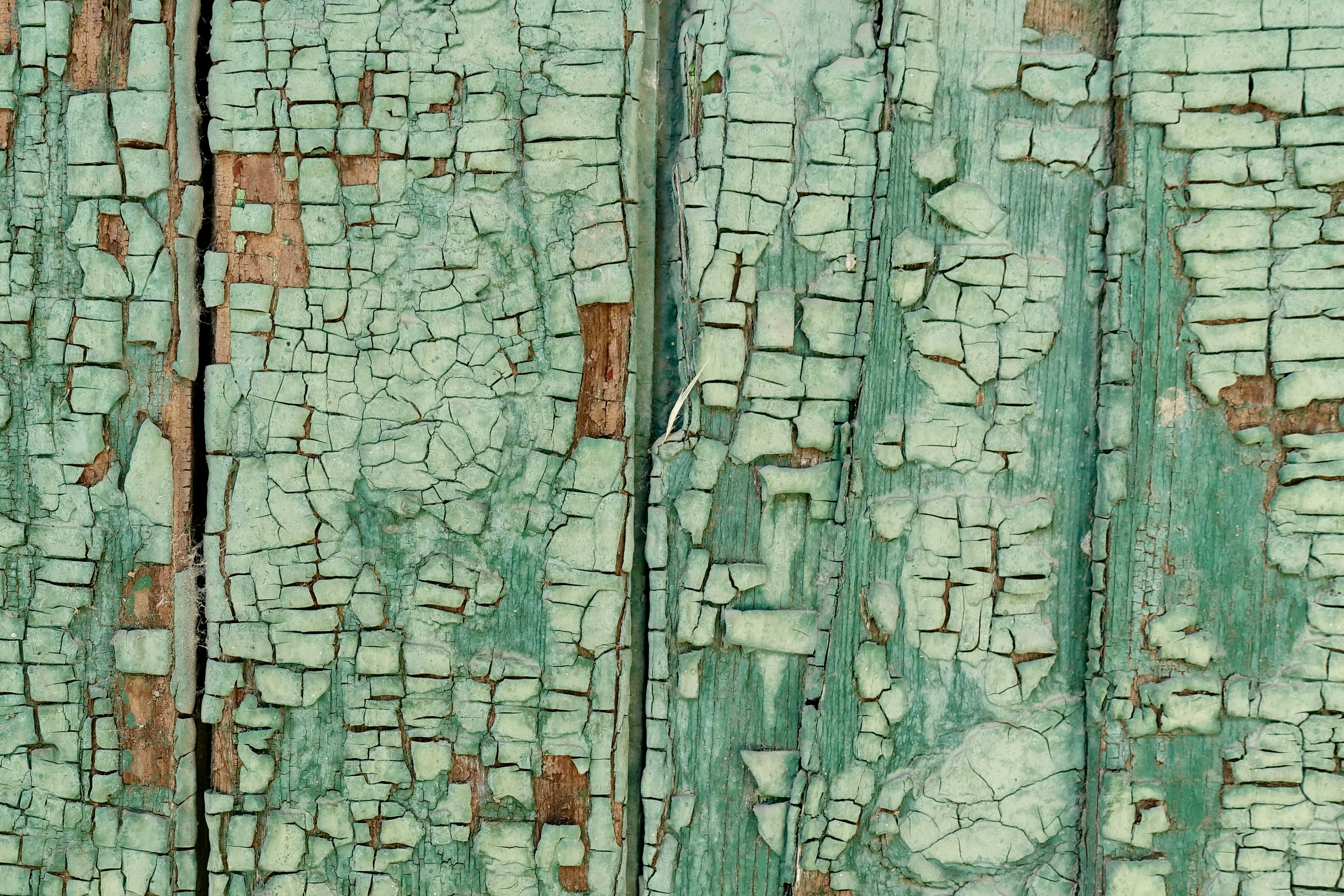 The Whisper of Weathered Wood