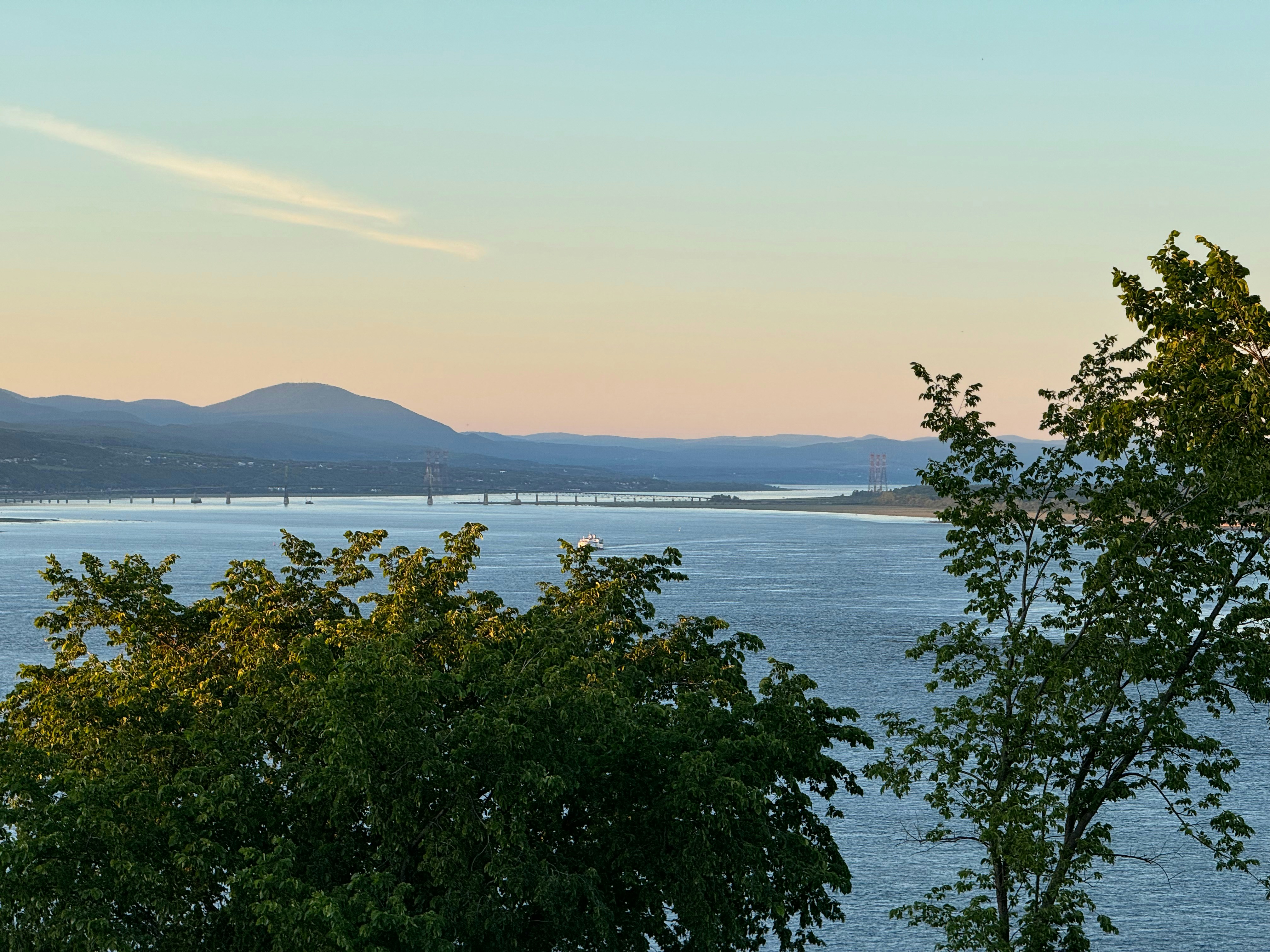 Dusk at the Inlet: Trees Framing a Quiet Horizon