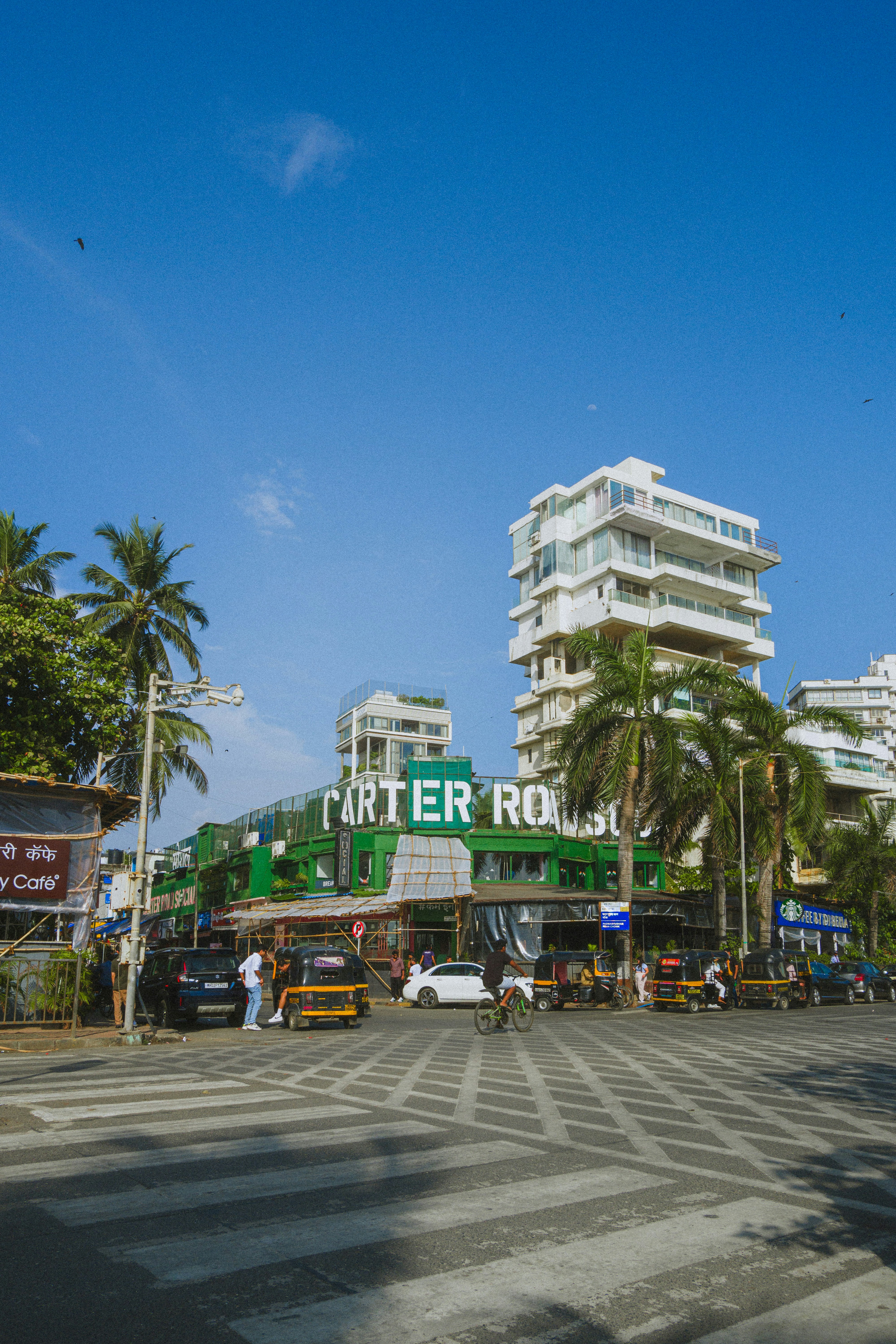 White Towers Rising Over a Palm-Flanked Street