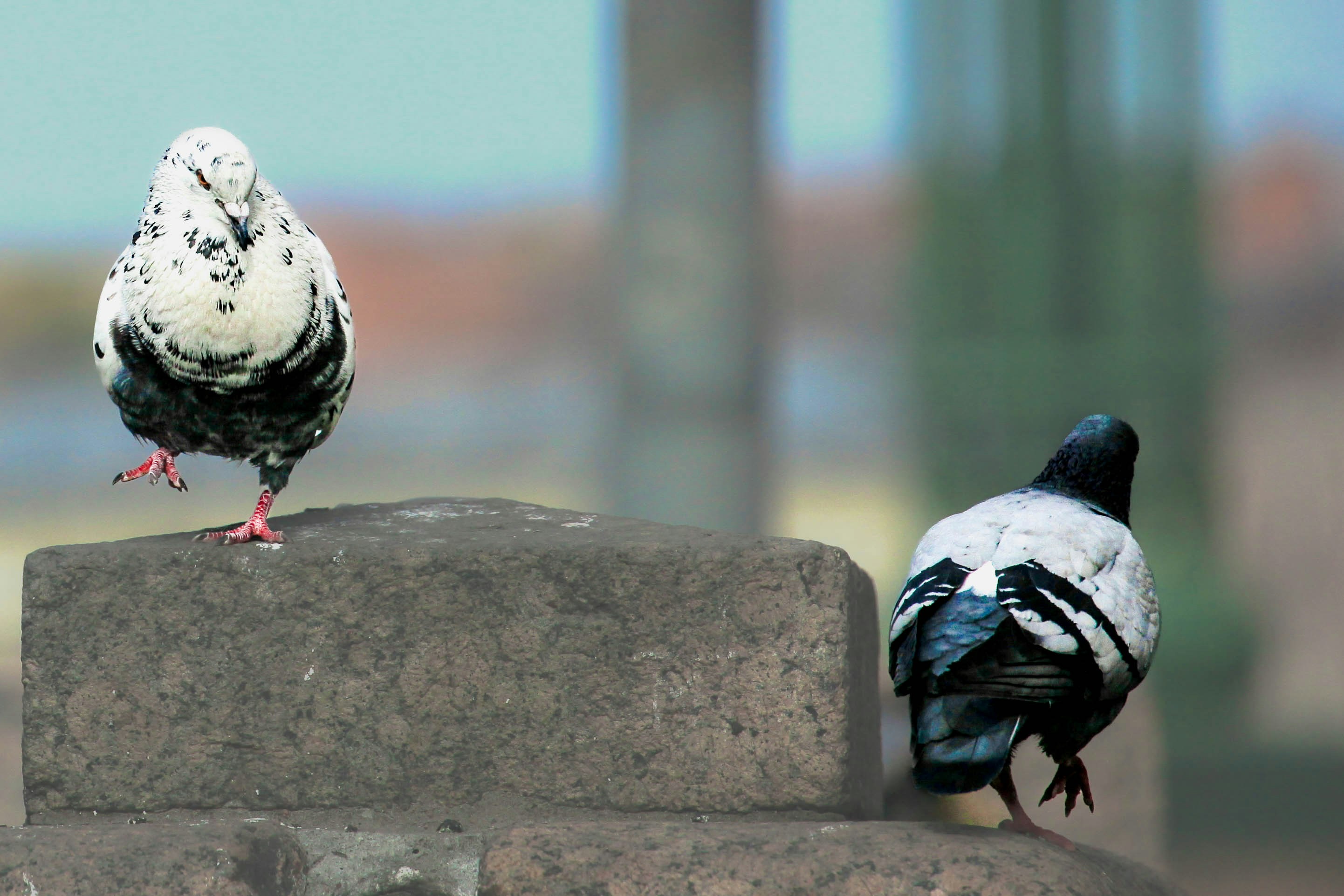 Photo by Anastassia Anufrieva with Canon EOS 5D Mark II