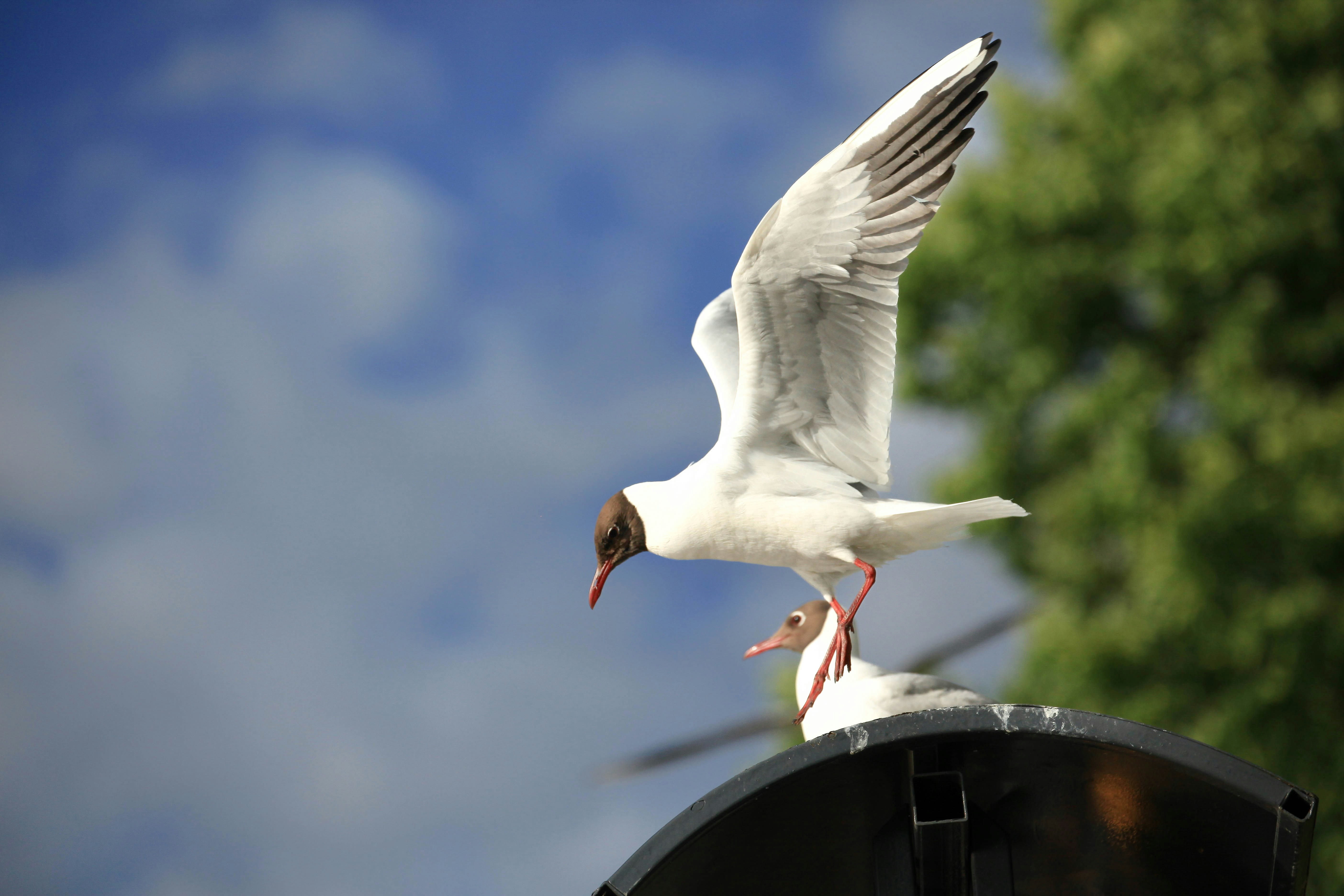Photo by Anastassia Anufrieva with Canon EOS 5D Mark II