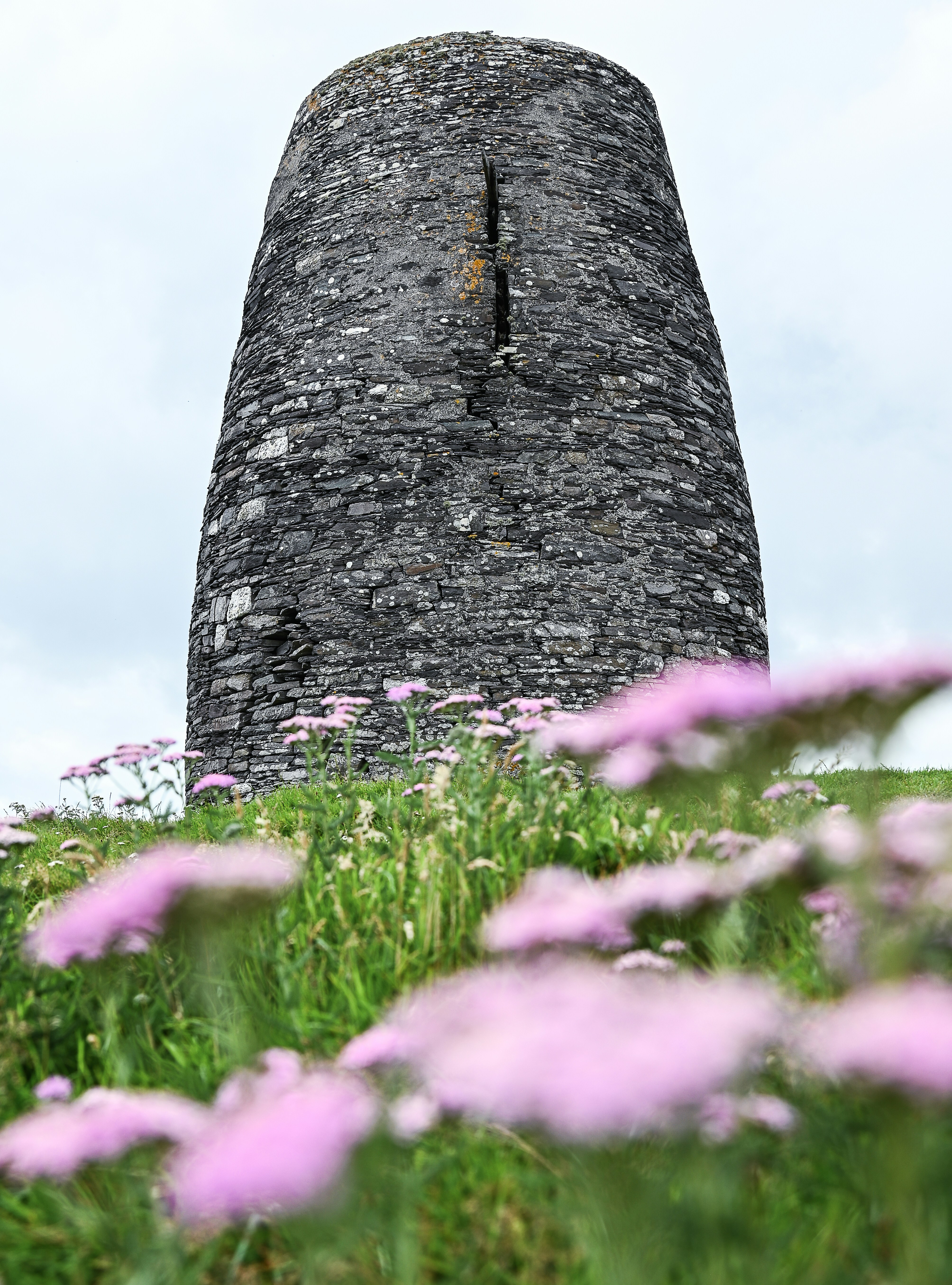 Stone Sentinel Rising Through a Sea of Pink Blooms