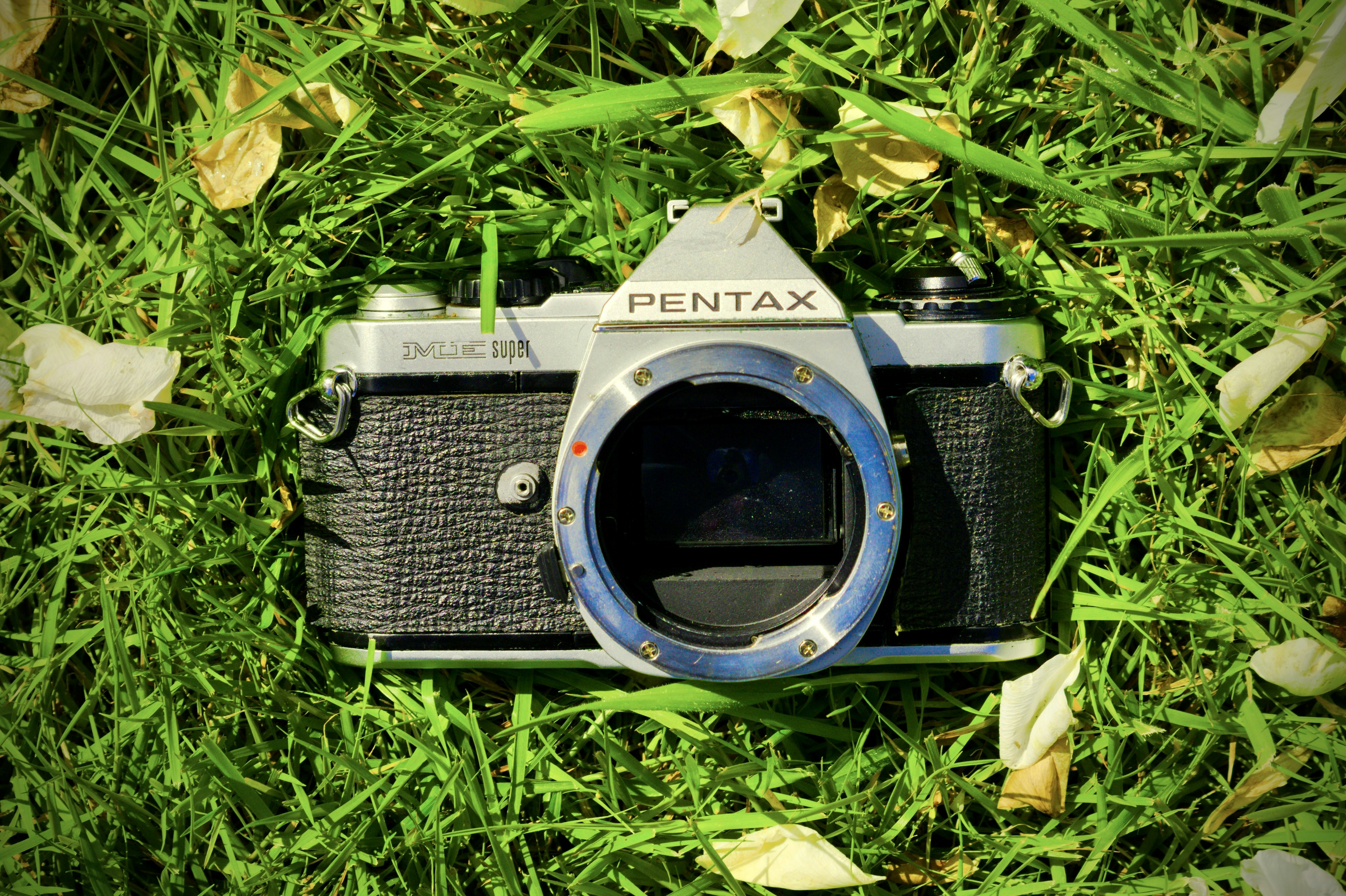 A camera sitting on top of a lush green field photo – Free Argentic ...