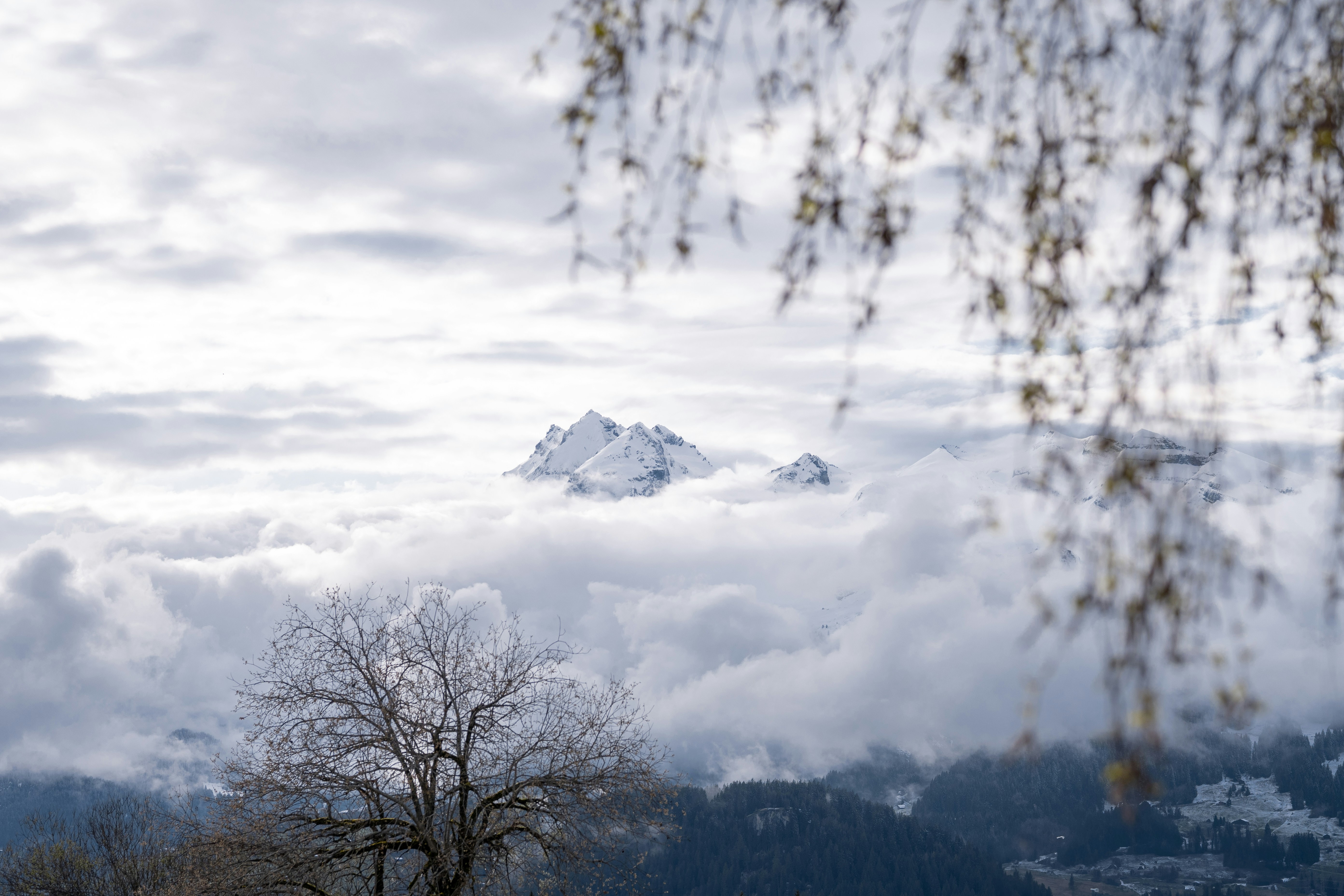 Snow-Capped Peak Emerging Through a Sea of Clouds