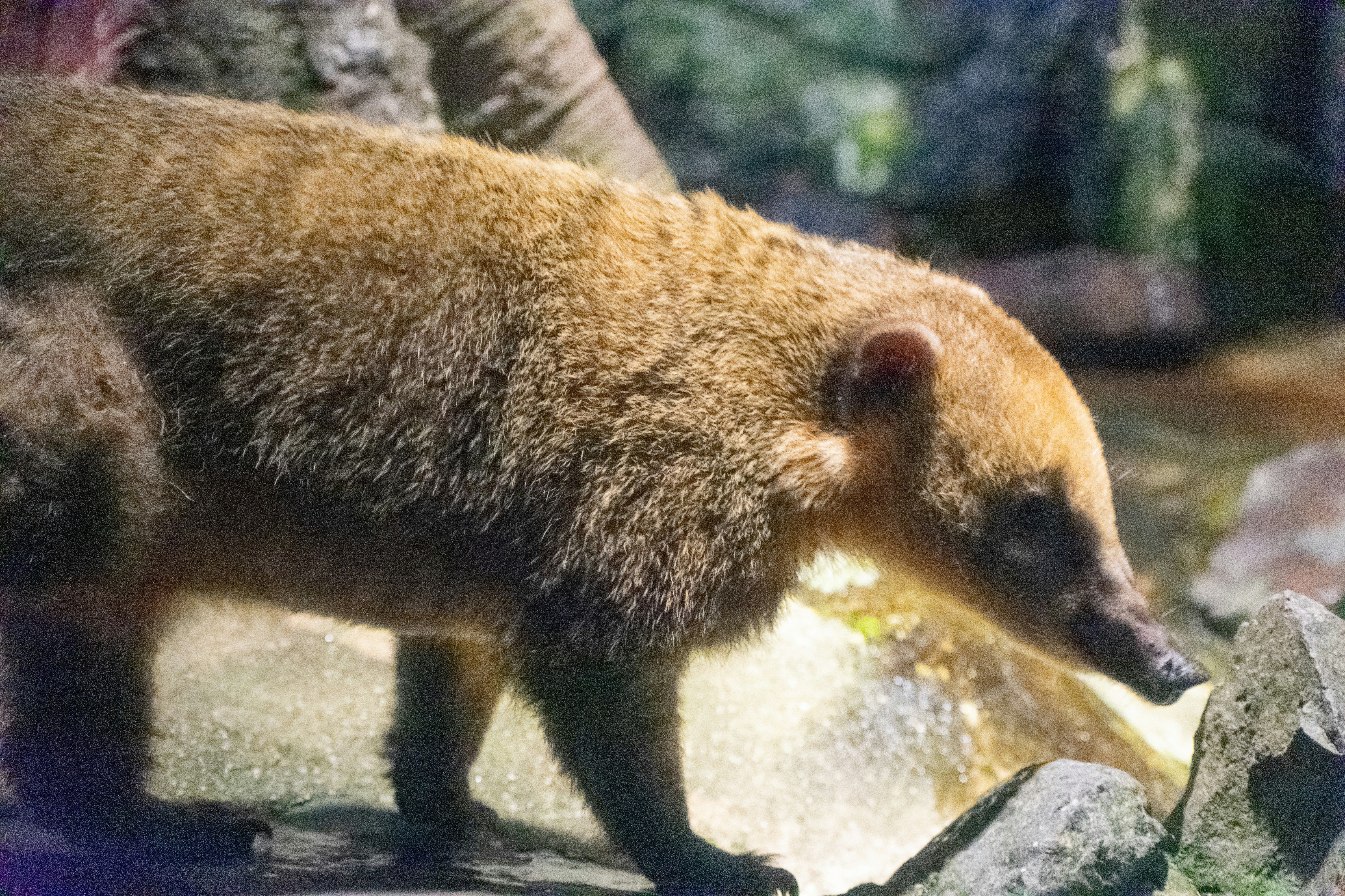 Photo by Robin Teng with Nikon D3400