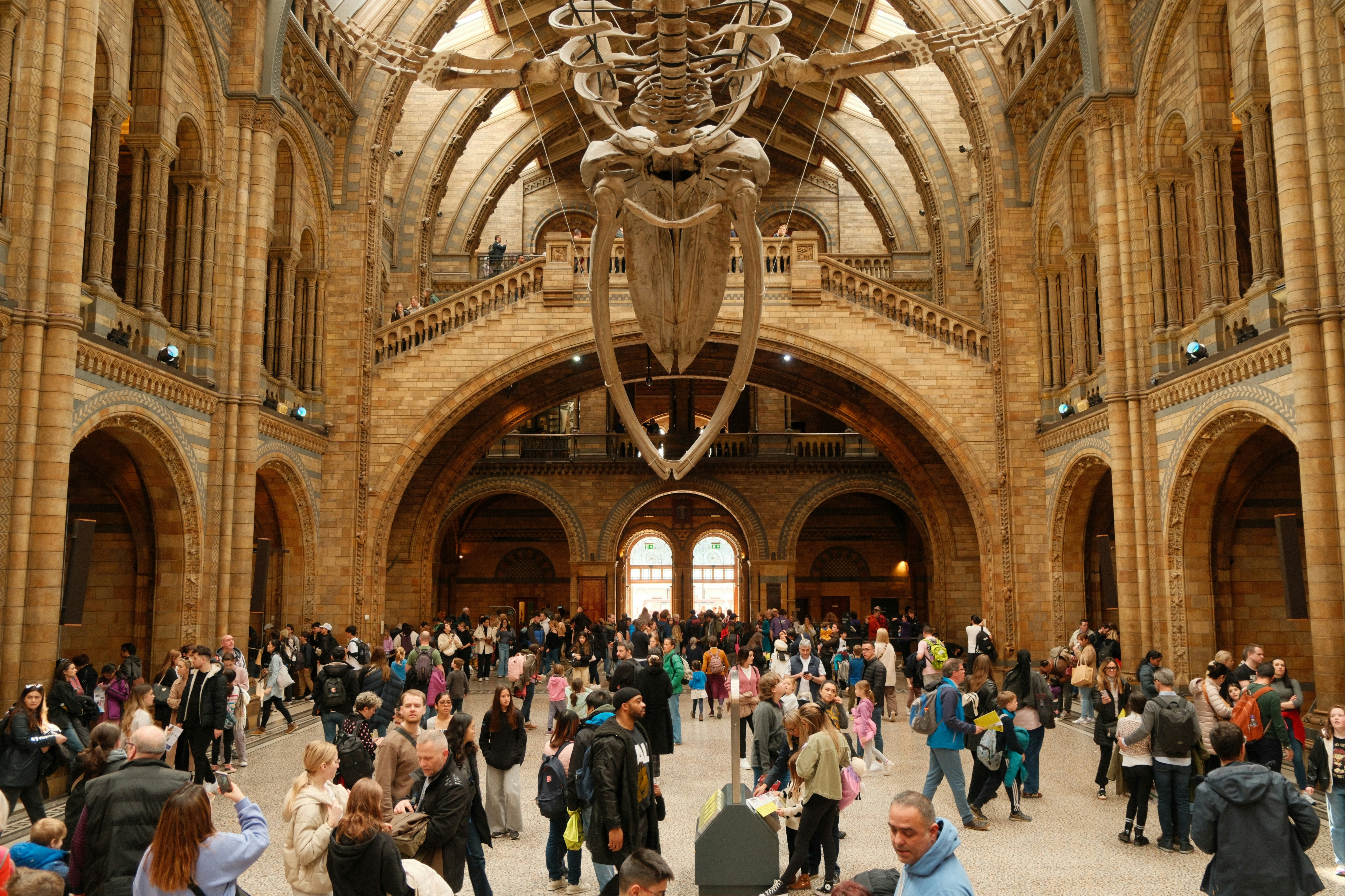 Centerpiece of Bones: Whale Skeleton Dominates a Bustling Museum Hall