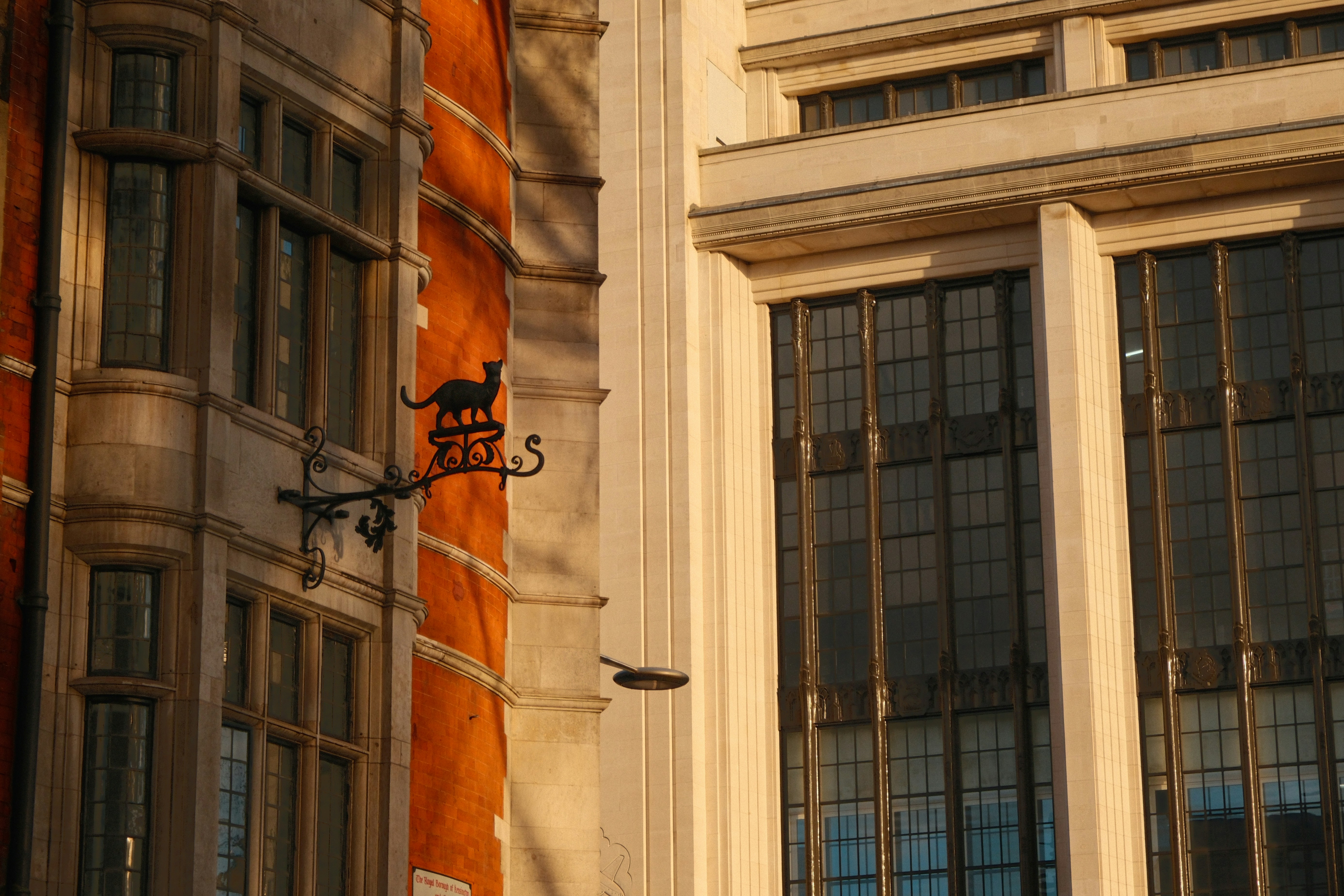Whiskered Emblem on a Sunlit Facade