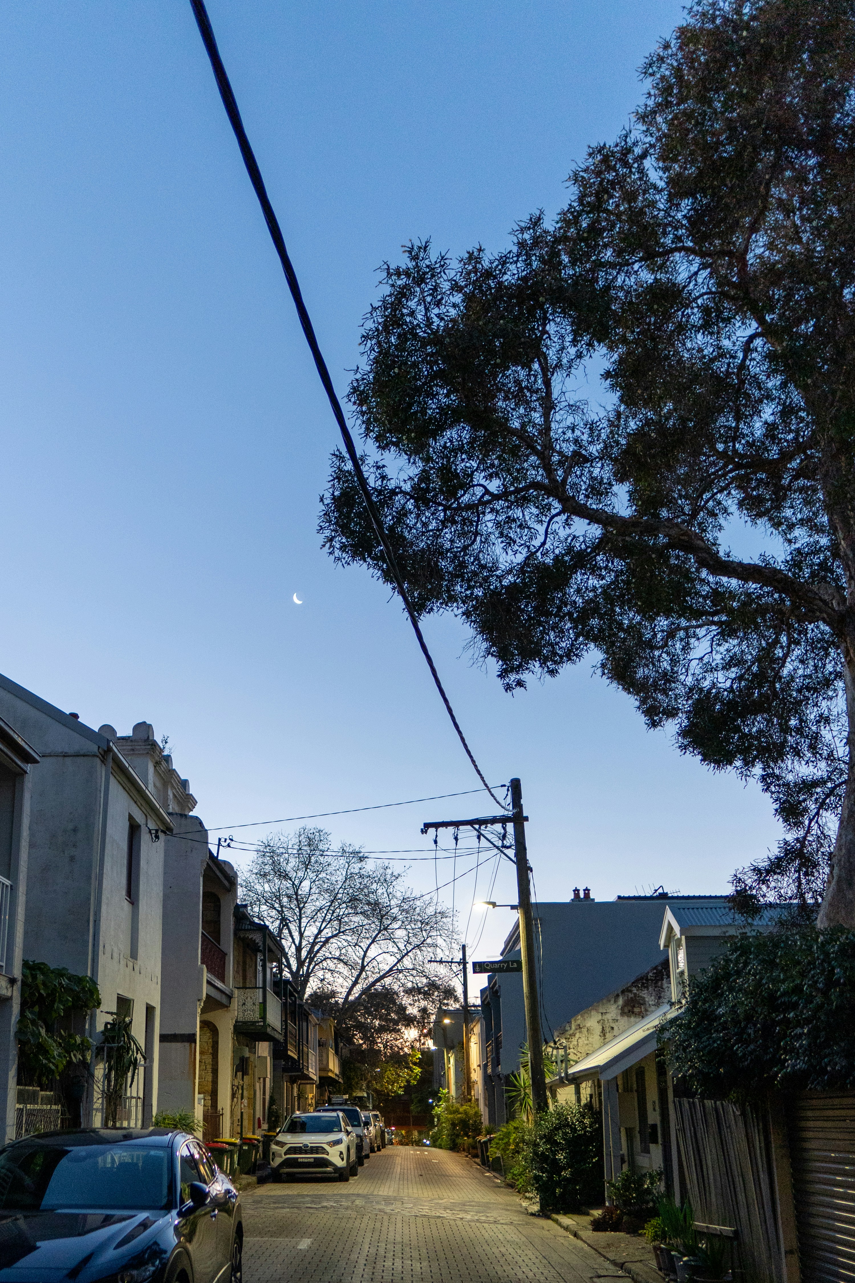 Crescent Moon Over a Quiet Street Framed by Trees and Wires