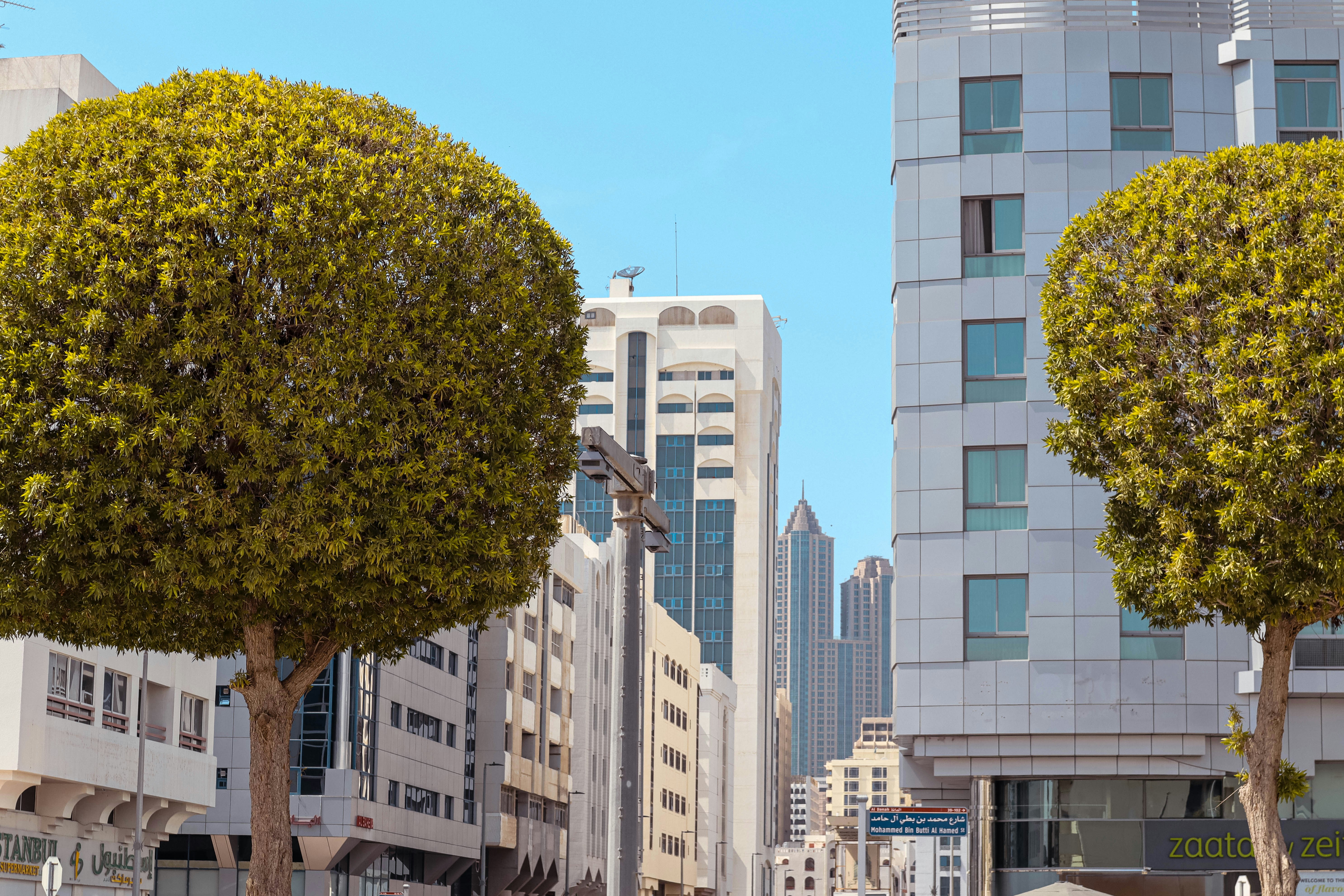 A city street lined with tall buildings and trees photo – Free ...