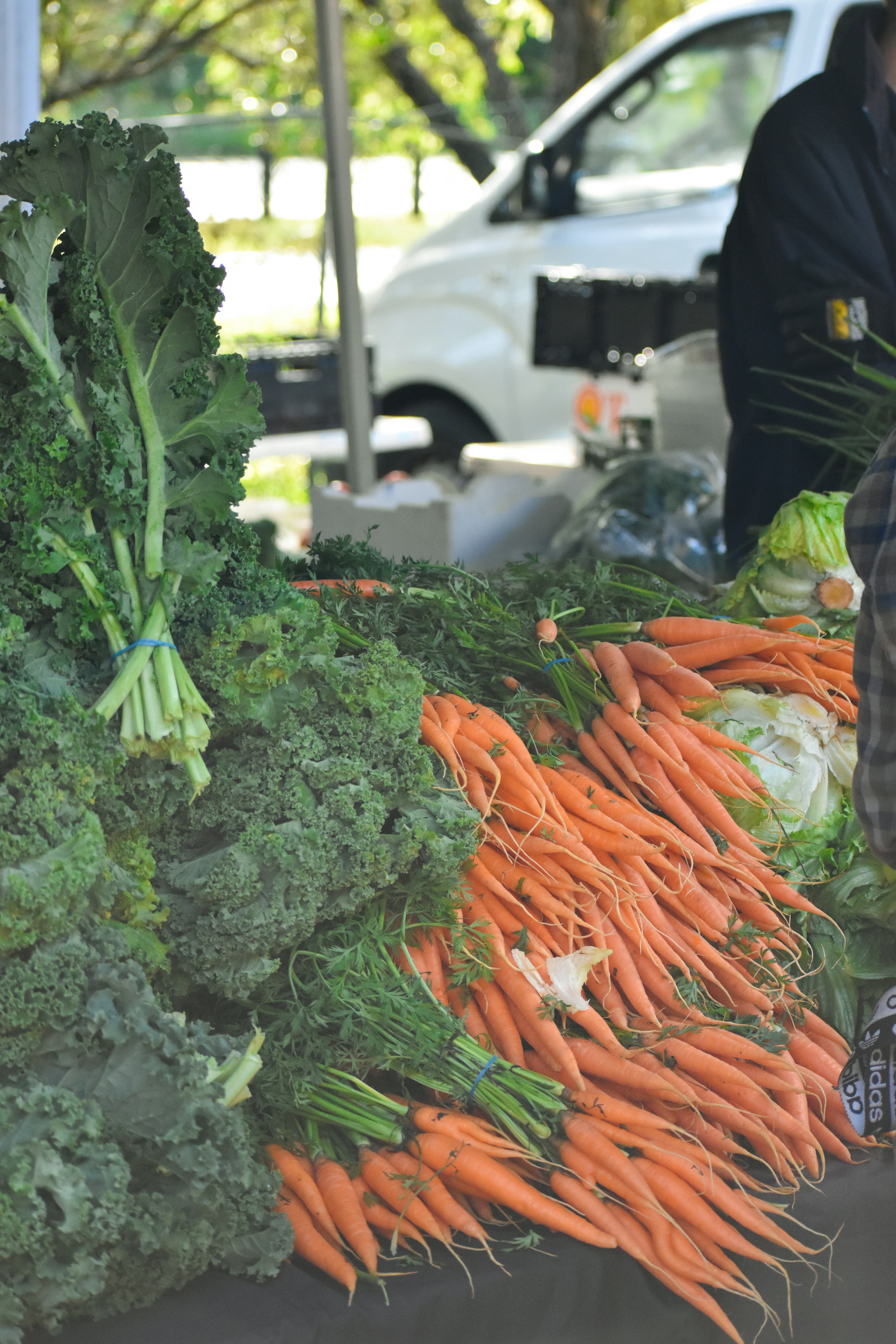 Carrot Cascade at a Sunlit Market Stall, Framed by Fresh Kale