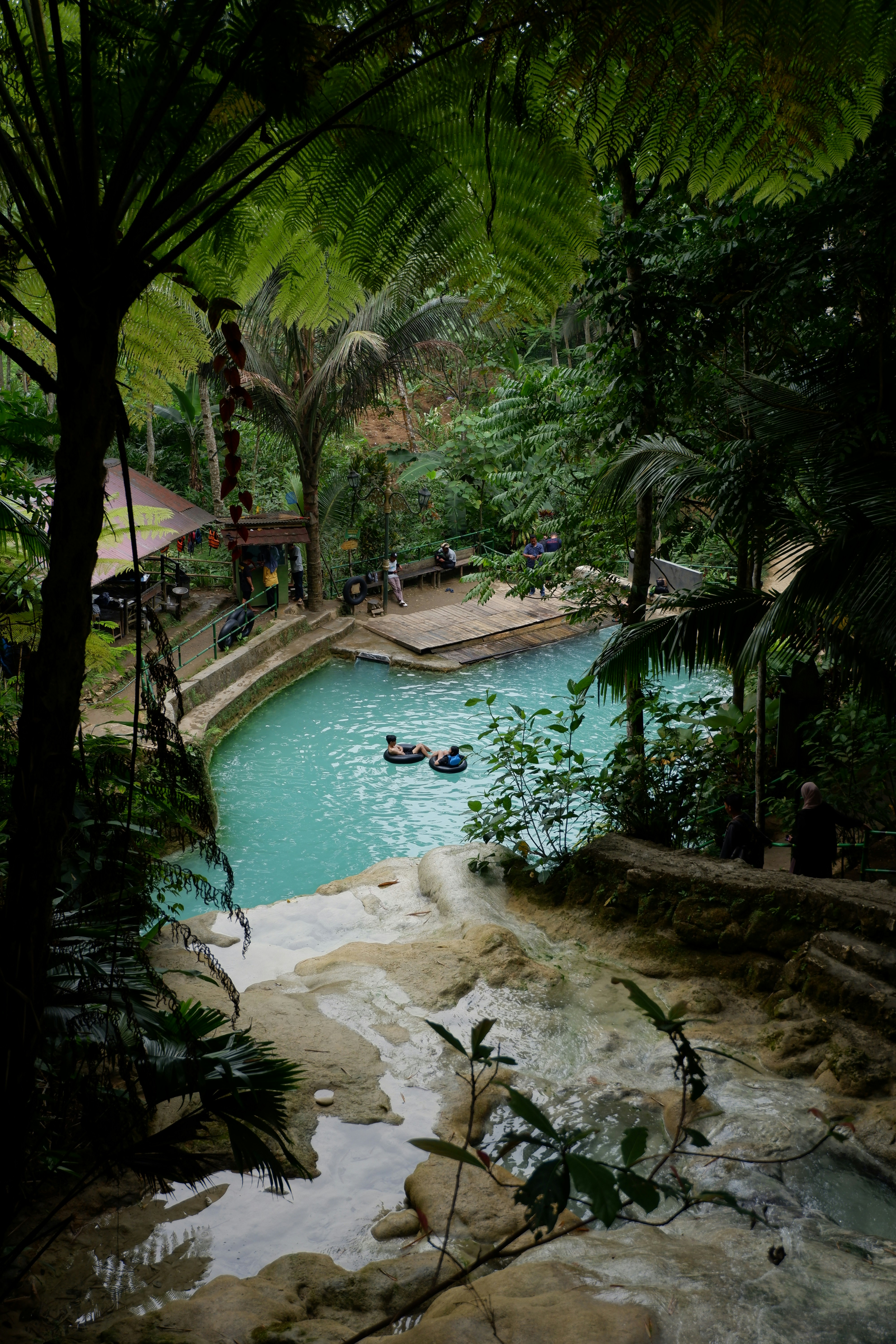 Jungle Oasis: Tubers Glide Across a Turquoise Pool Fringed by Foliage