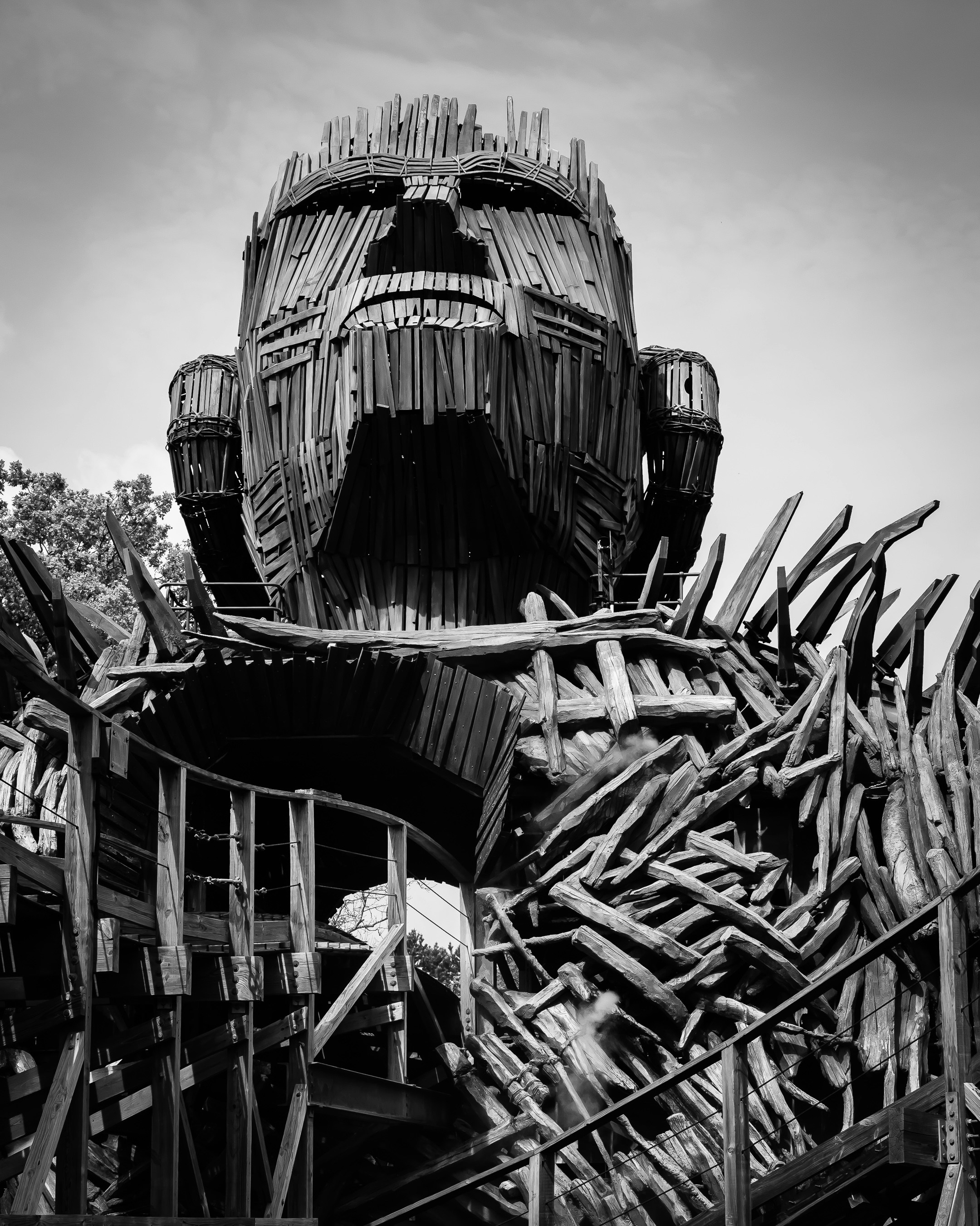 Head in Wood: A Monolithic Mask Sculpted from Timber Debris