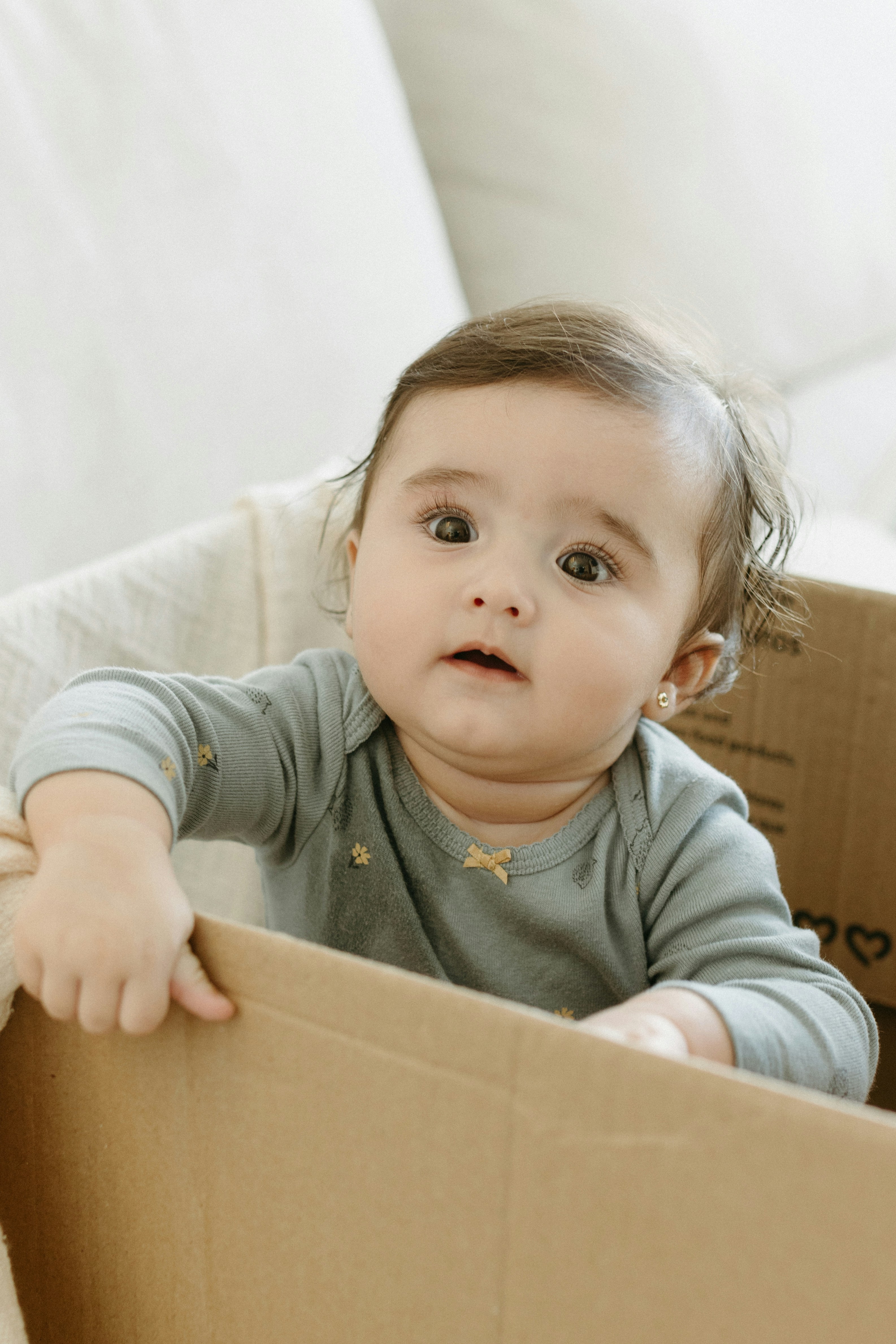 A baby sitting in a cardboard box on a couch photo – Free Baby Image on ...