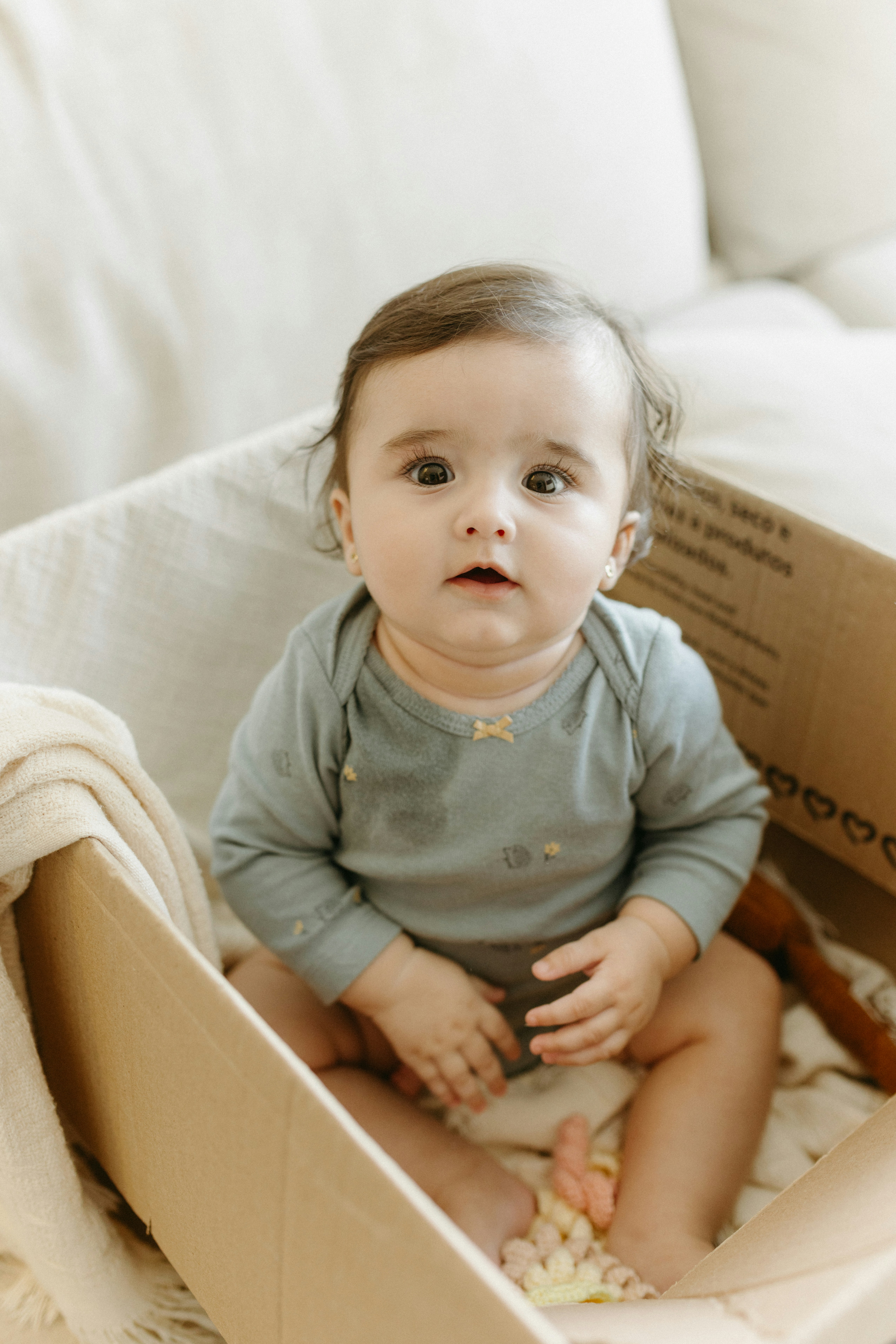 A baby sitting inside of a cardboard box photo – Free Grey Image on ...