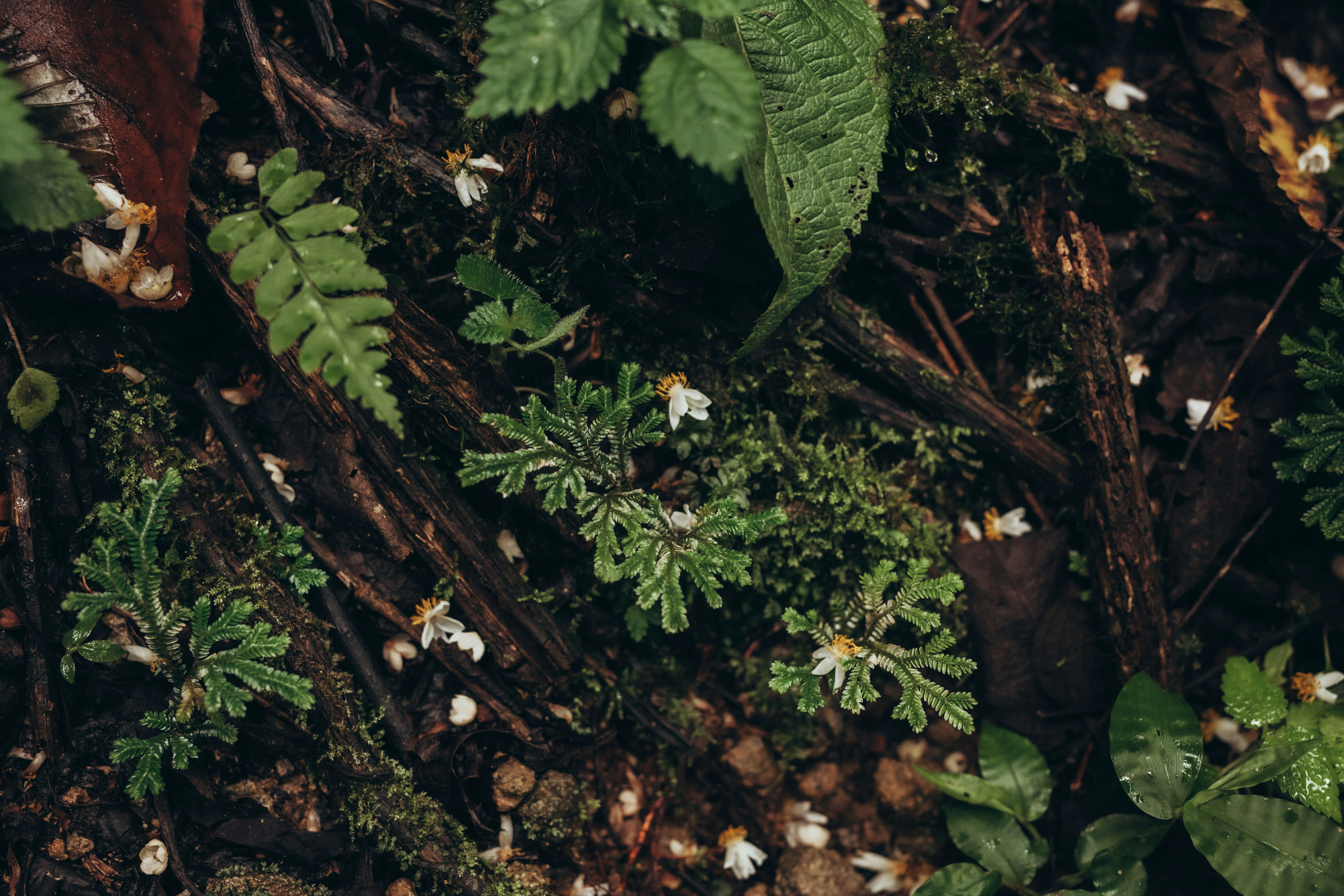 Photo by Elizabeth Mumford with Canon EOS 5D Mark II