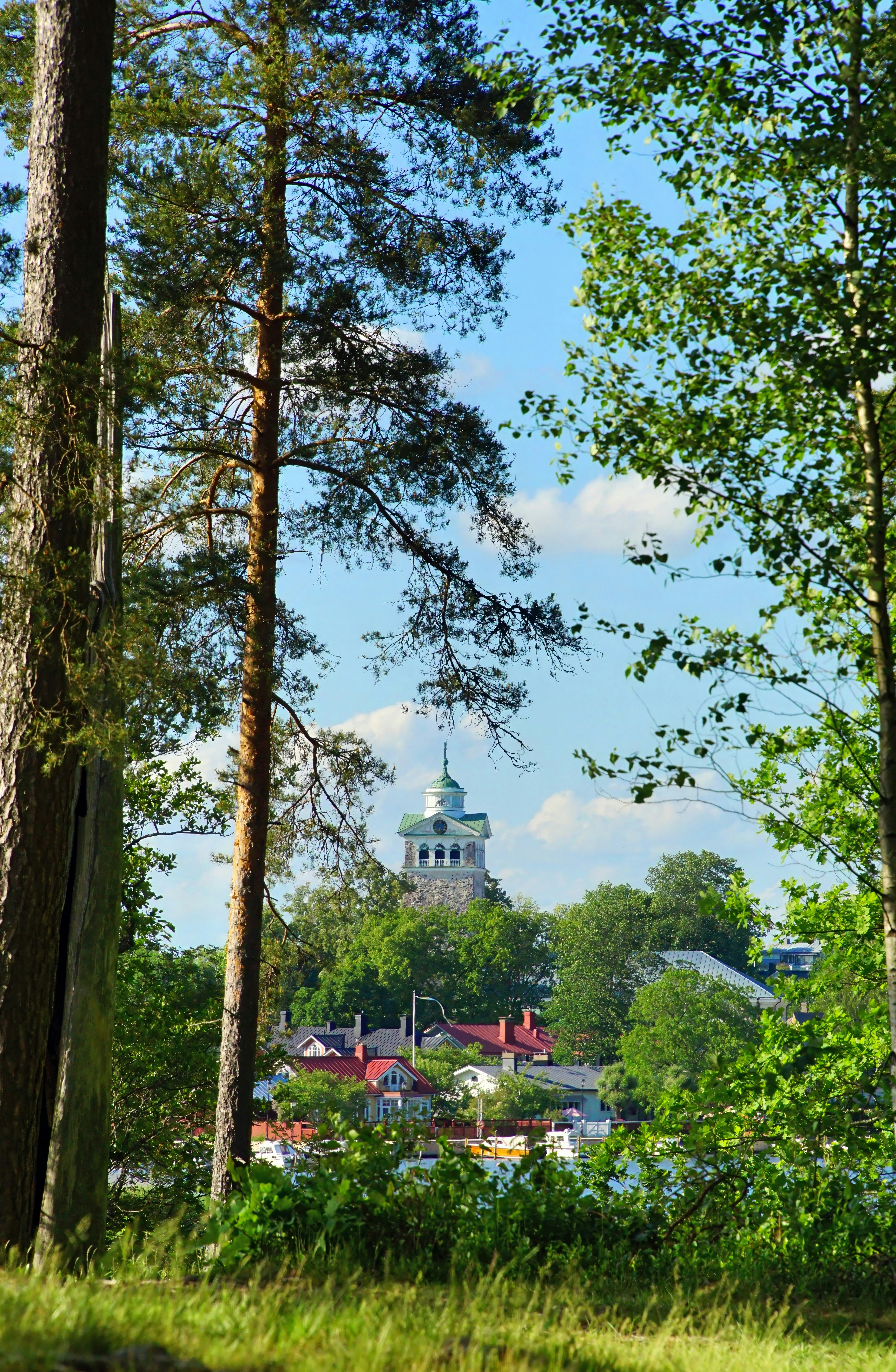 Clocktower Rising Behind a Green Village Framed by Tall Pines