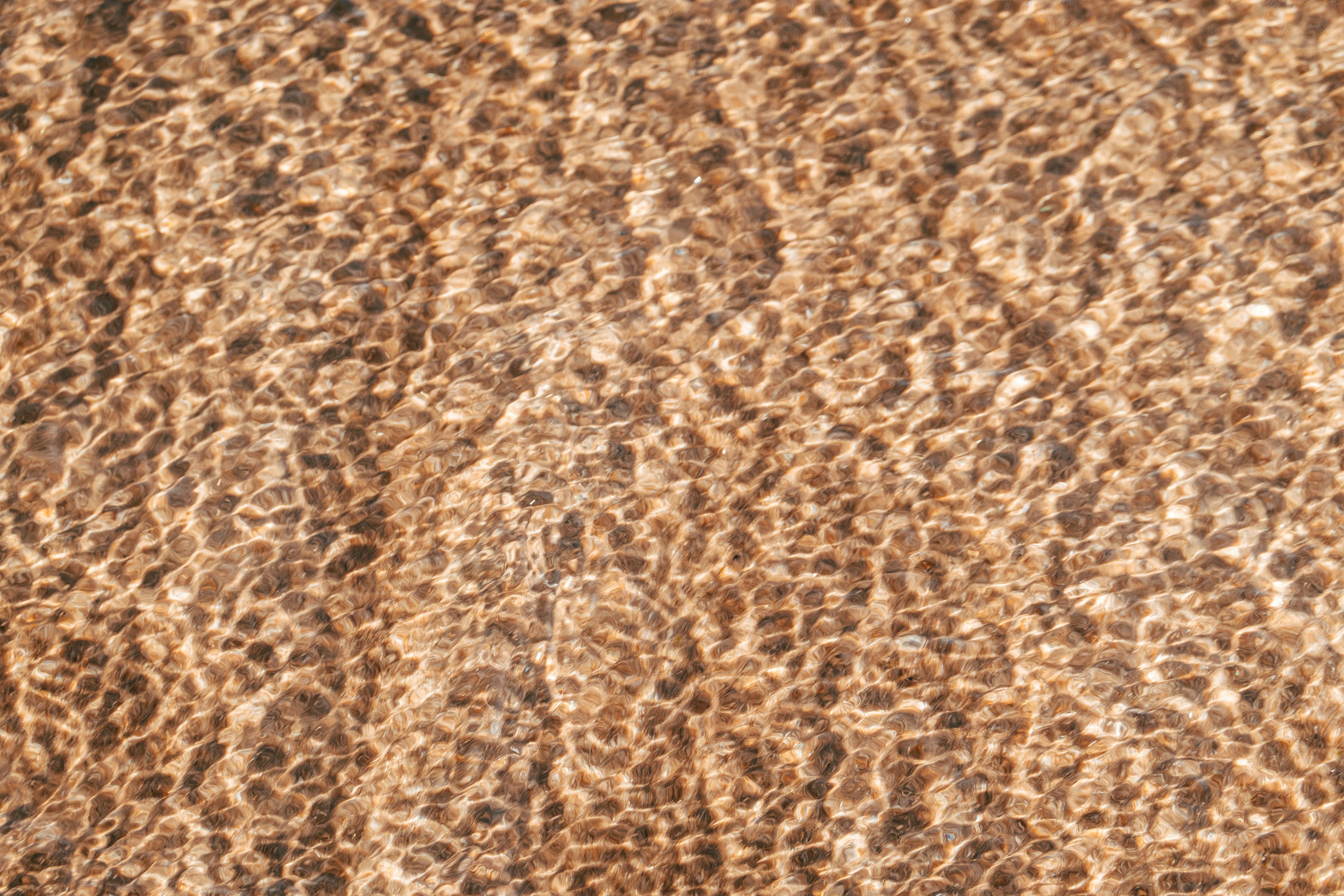 Sample photo from Sony RX100 VII