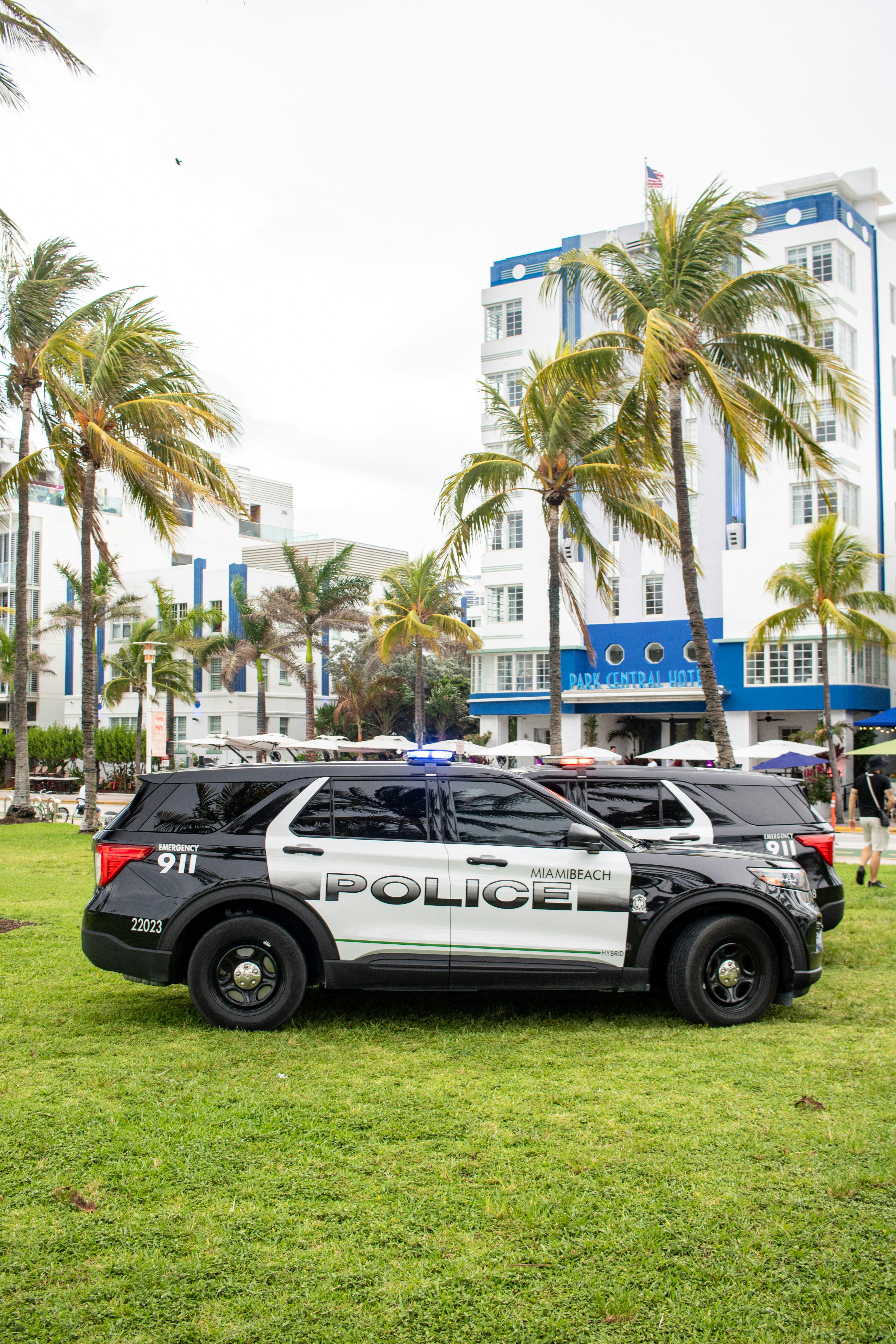 Police Power in Palm City