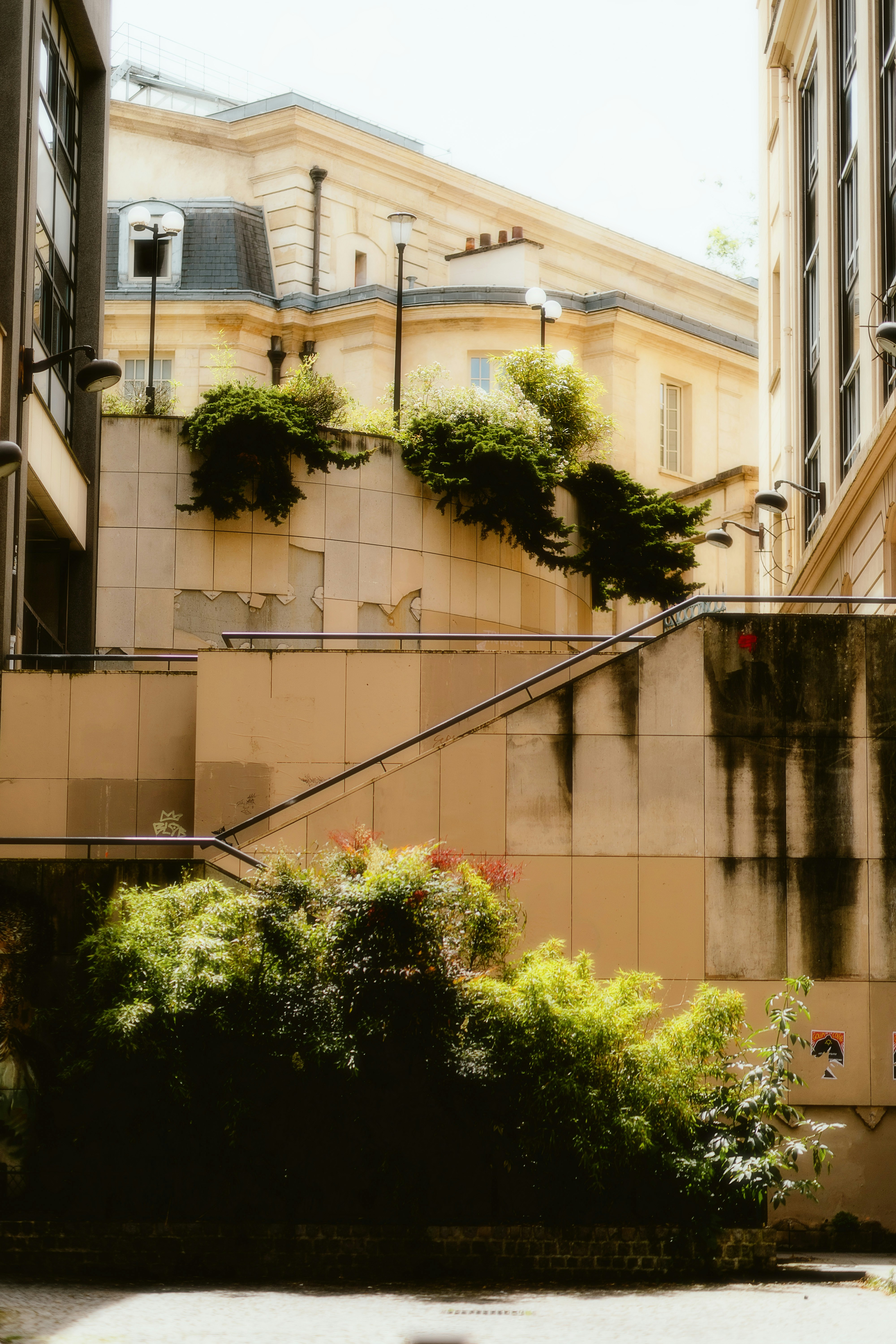 Sunlit Terrace Draped in Green: An Urban Staircase Scene
