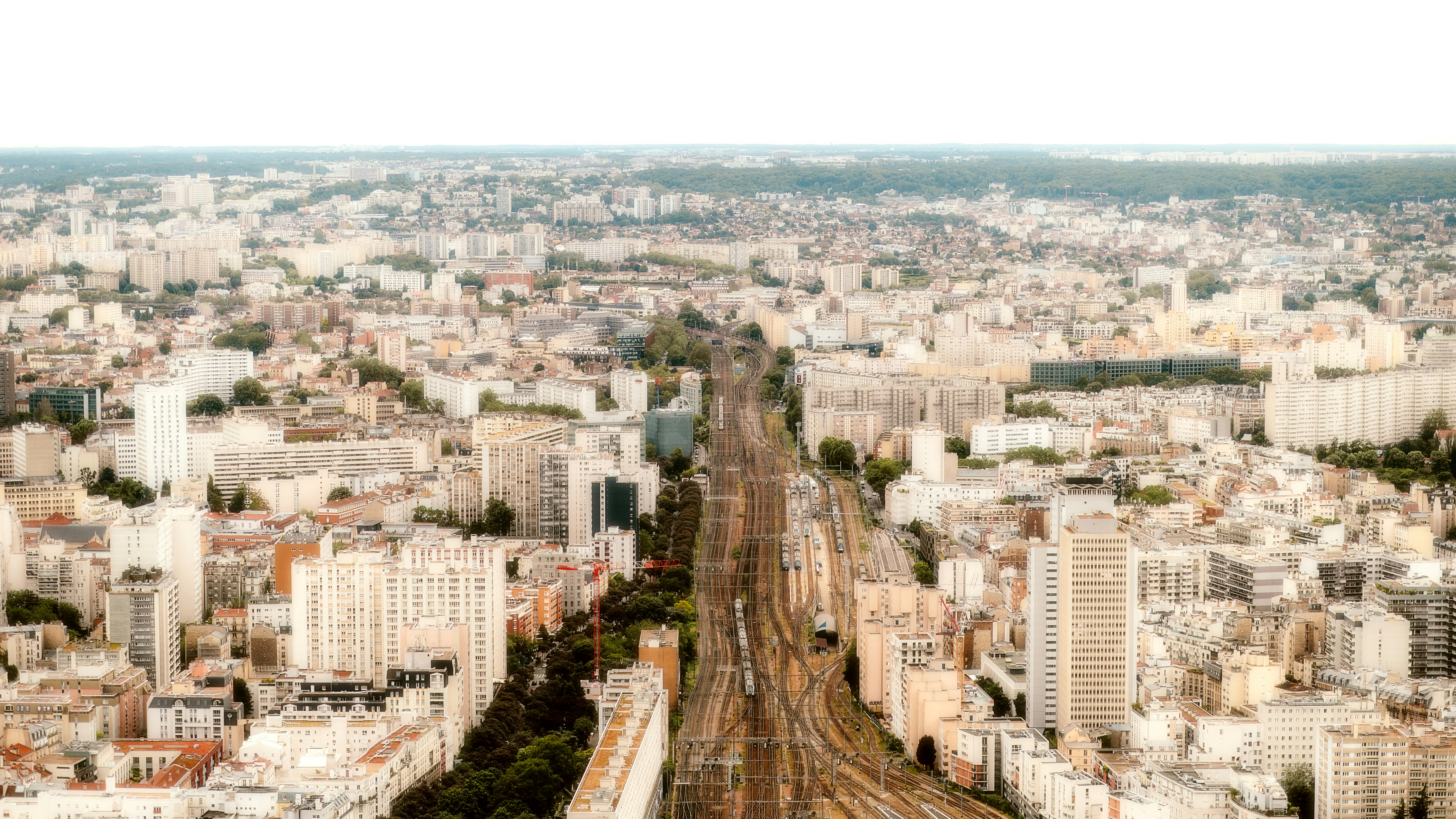 Photo by Alin Gavriliuc with Canon EOS R6 Mark II