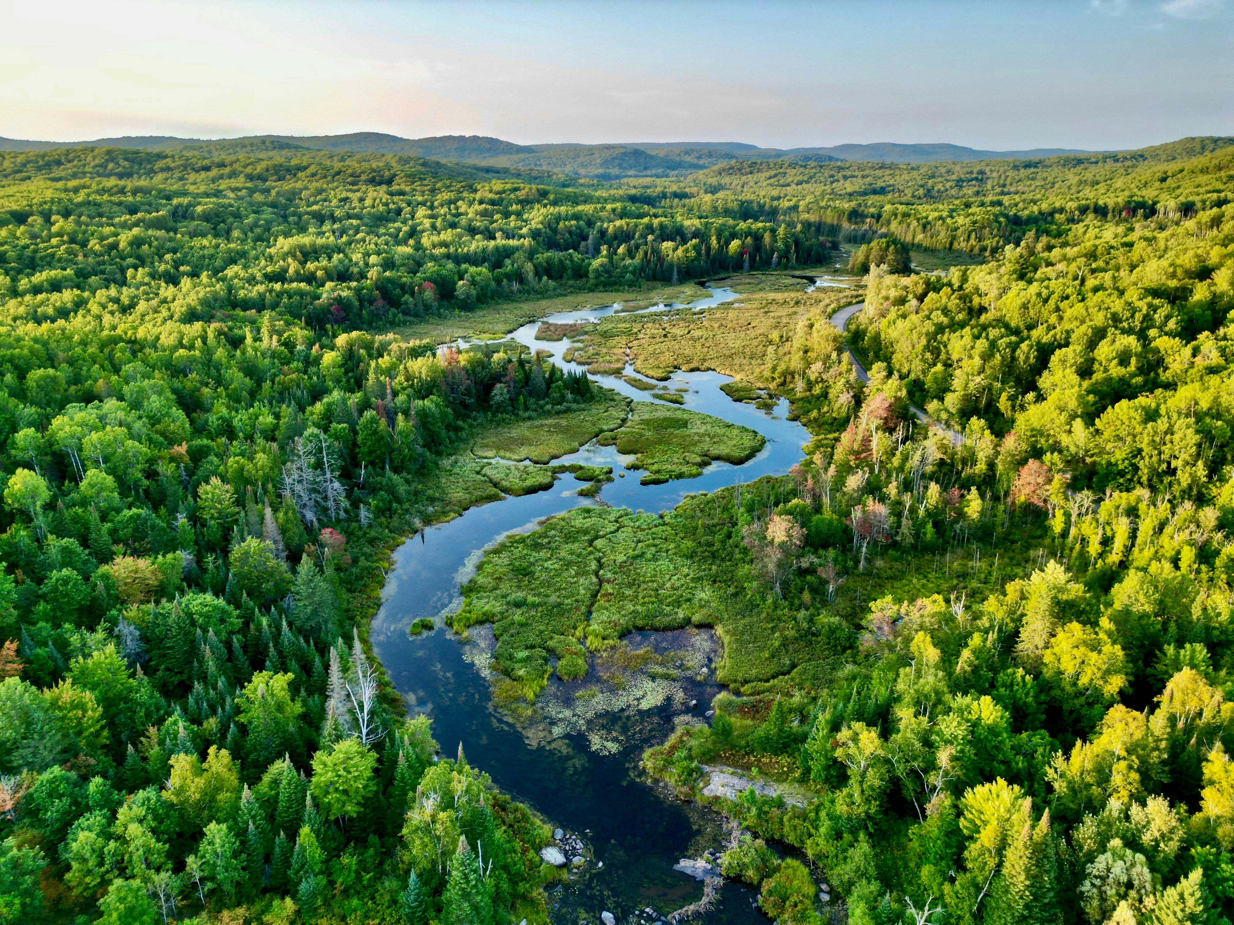 A winding river weaving through a forest, illuminated by the setting sun