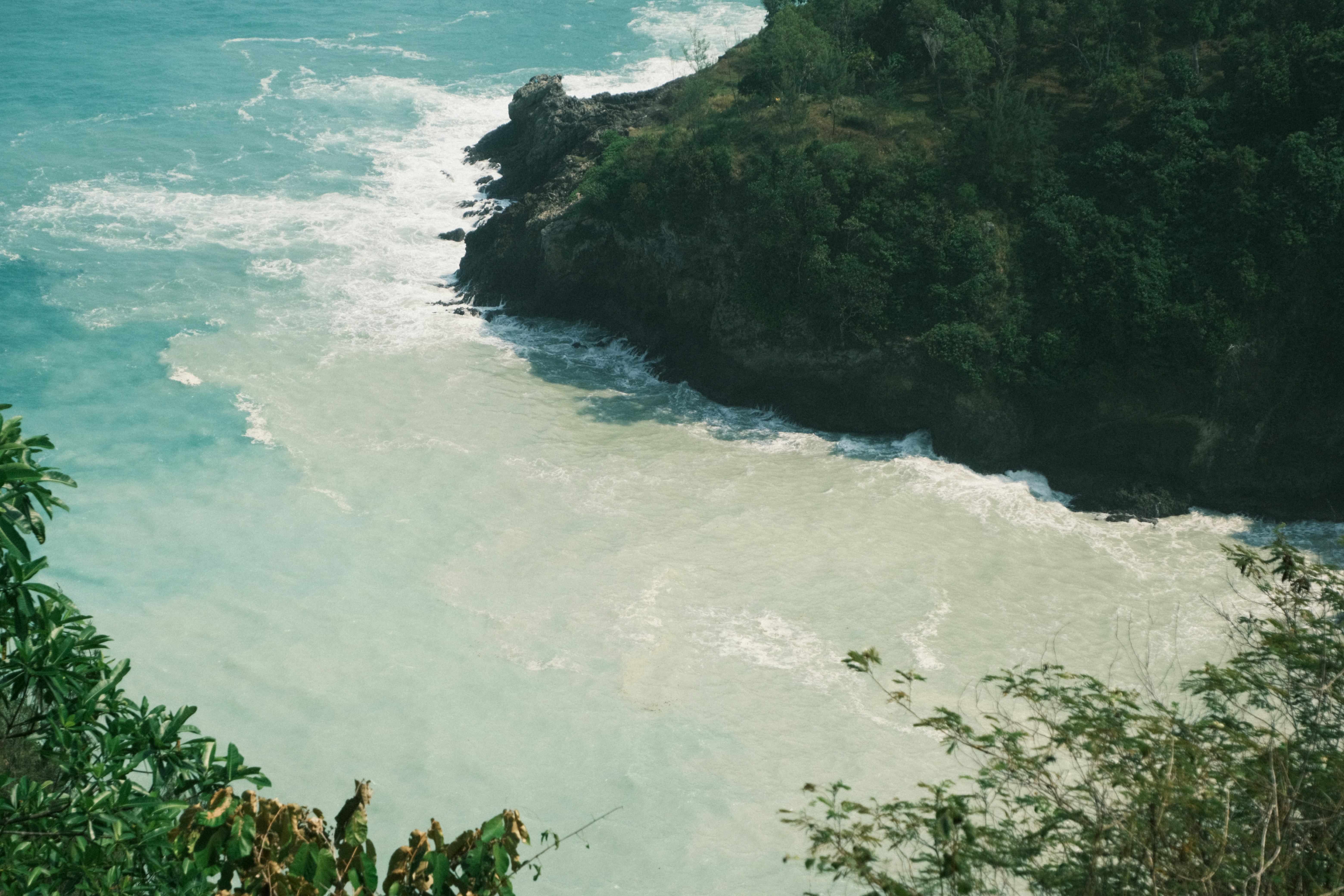 A secluded cove with turquoise waters meeting rugged cliffs under a canopy of lush greenery.