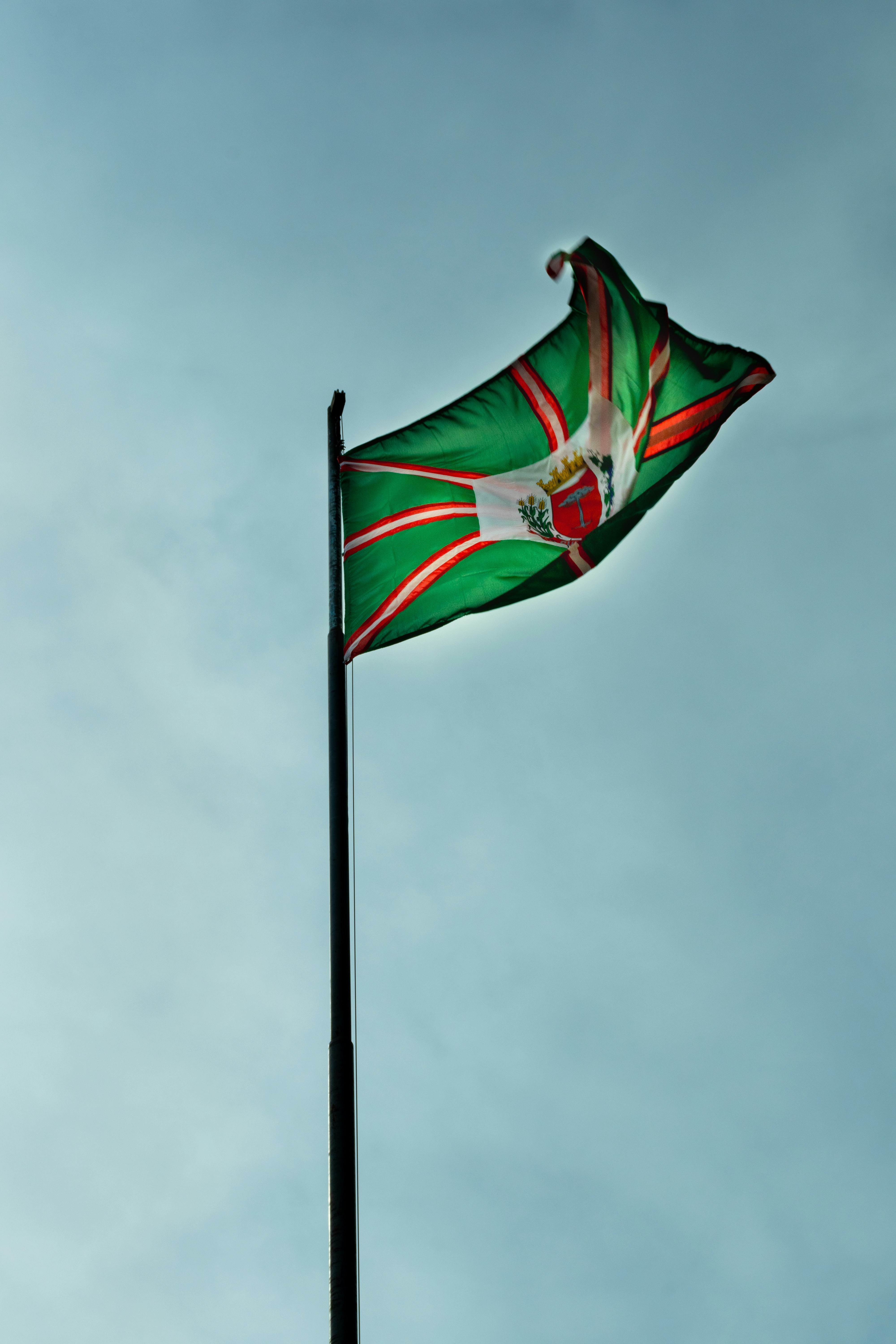 Wind-Driven Green Banner on a Lone Mast