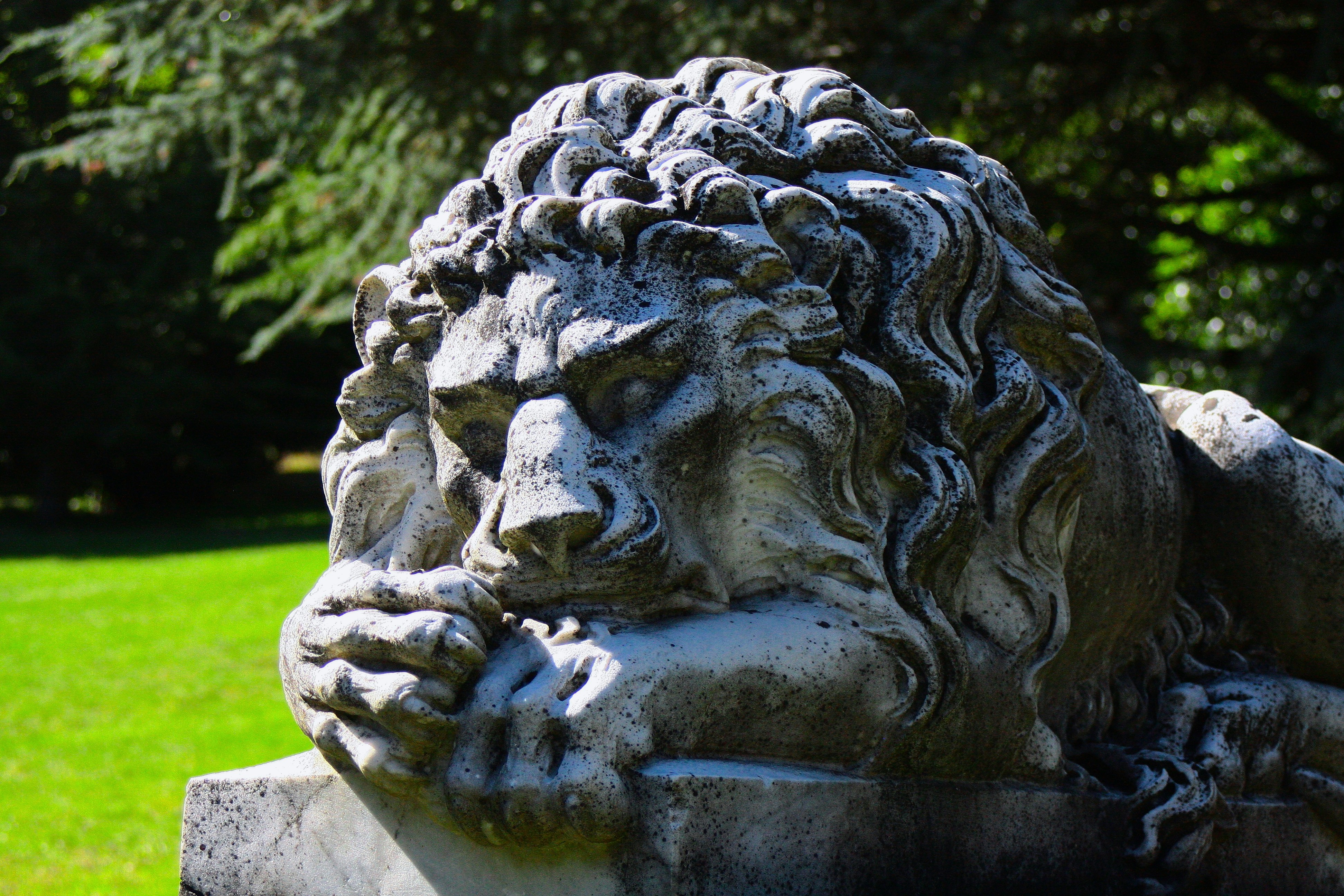 Stone lion statue lounging on a pedestal in a sunlit park.