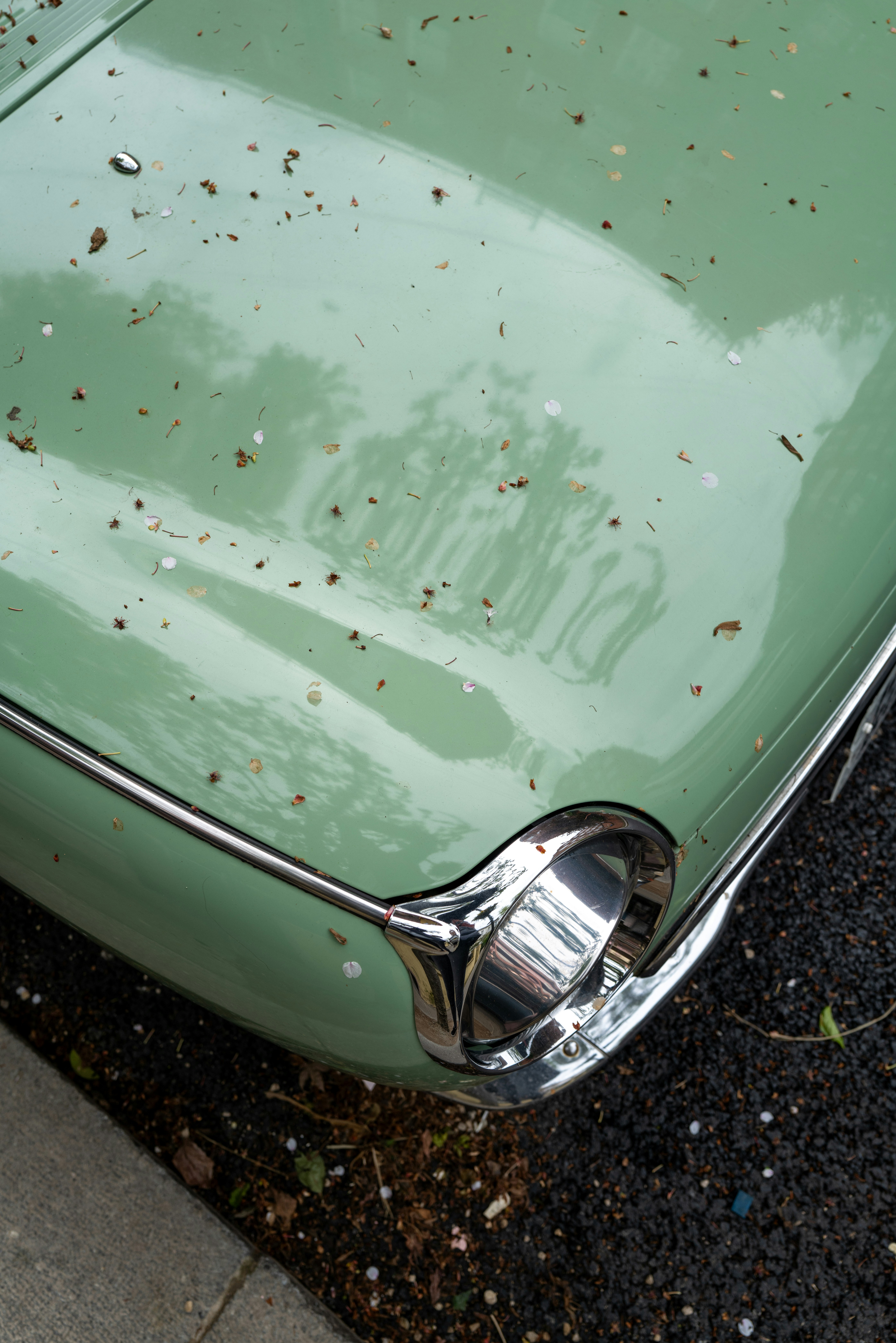 30k+ Mint Green Pictures | Download Free Images on Unsplash