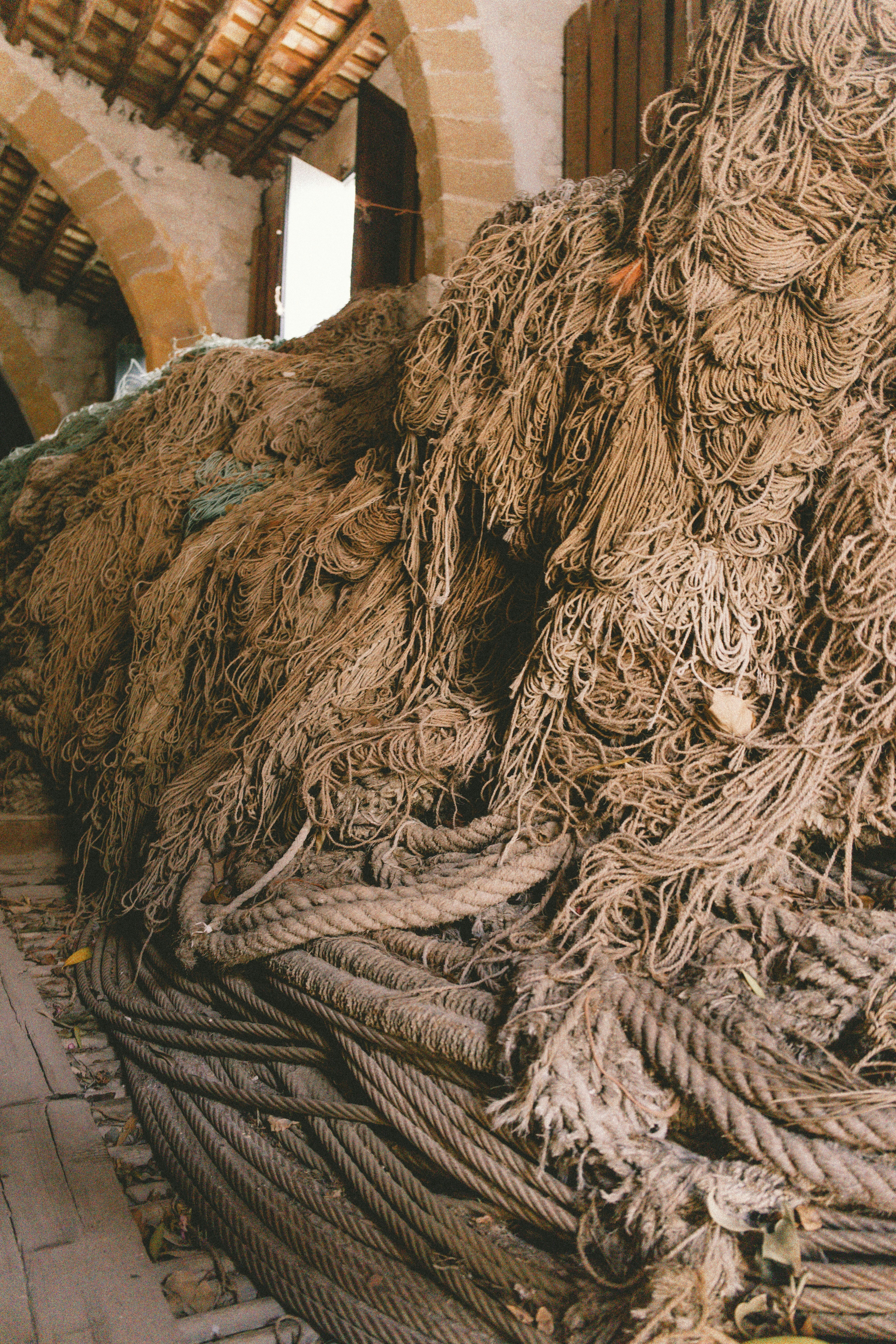 Photo by Josh Withers with Canon EOS R5