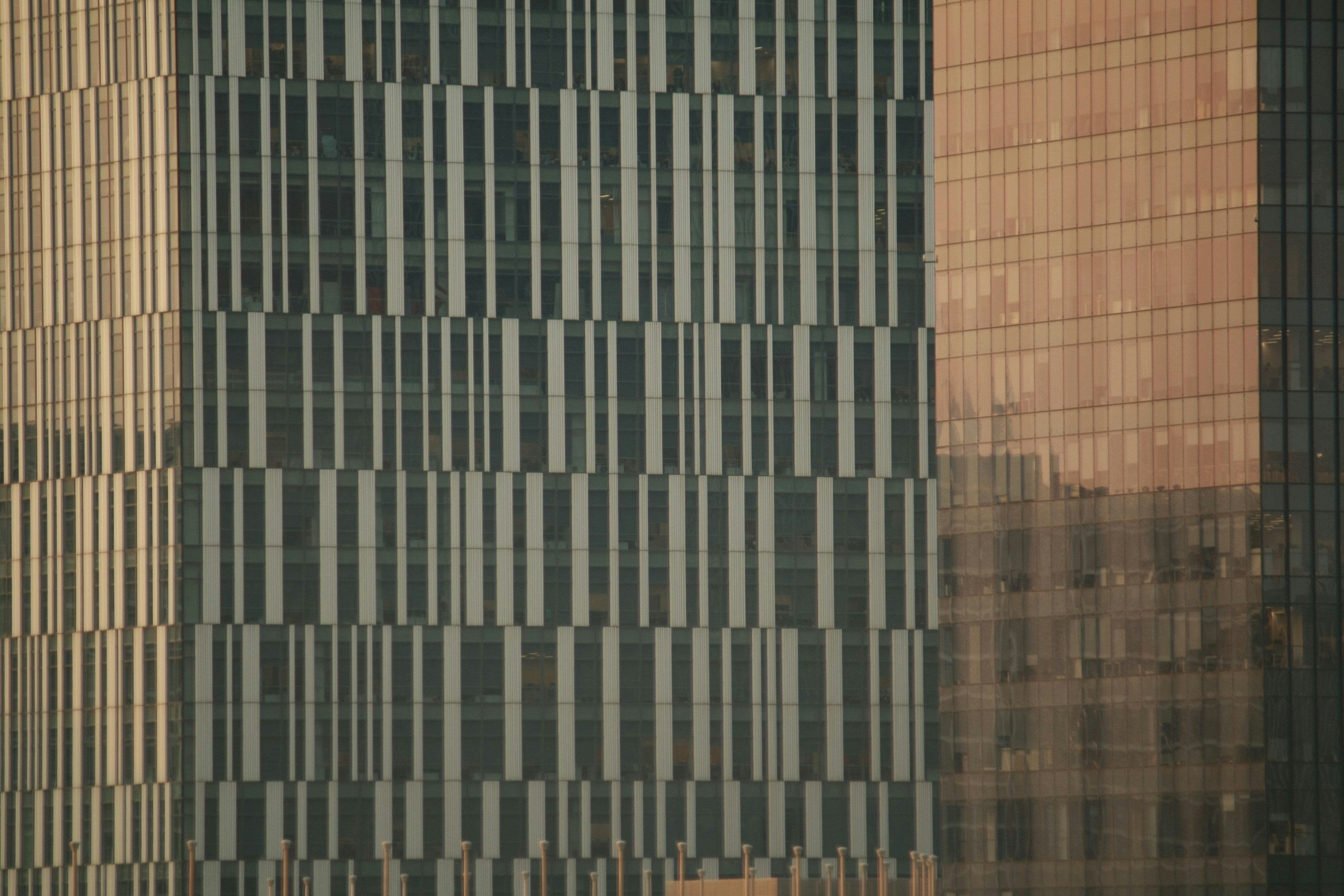 Photo by William Wang with Canon EOS 1000D