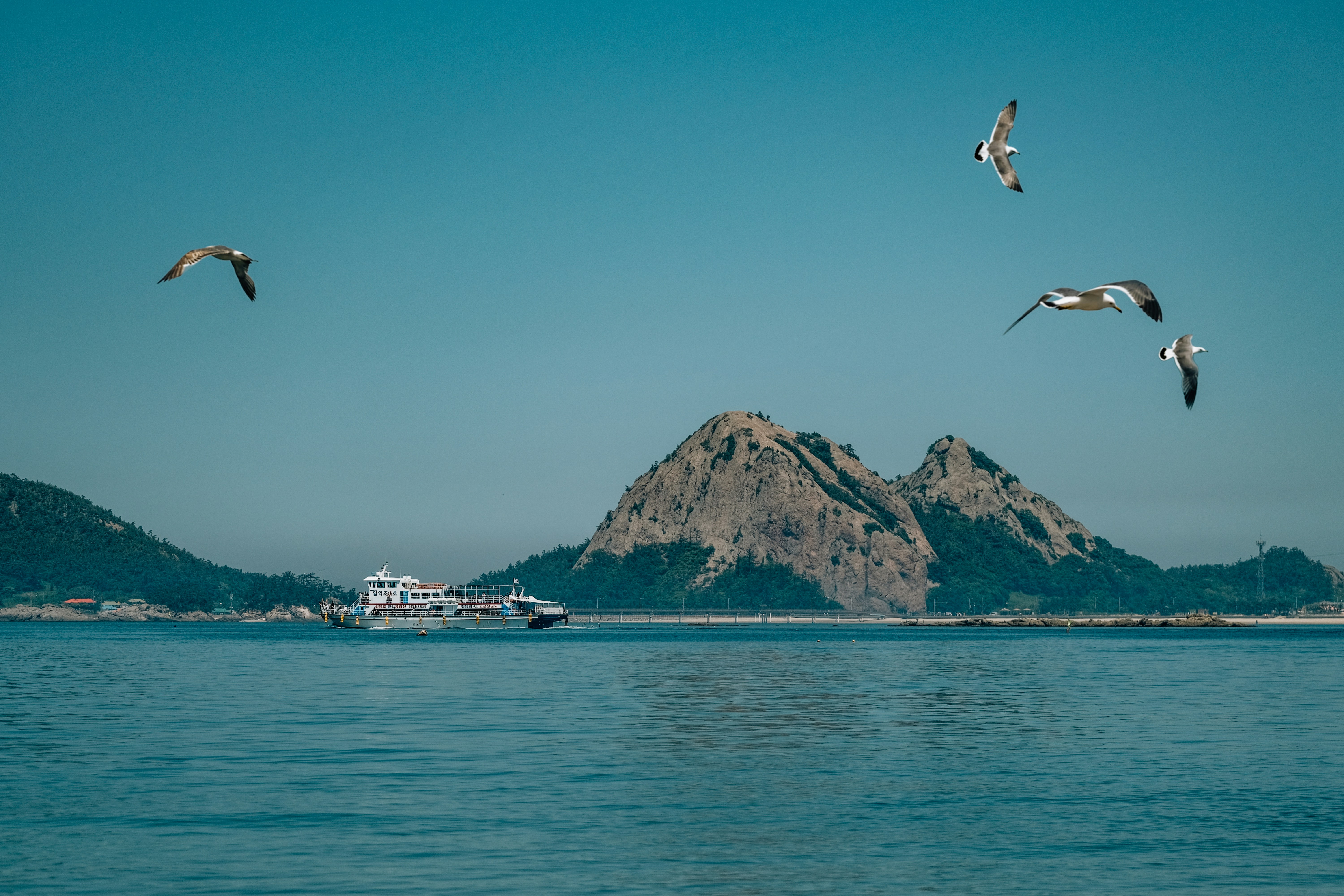 Rocky islets and a calm harbor beneath a flock of seabirds