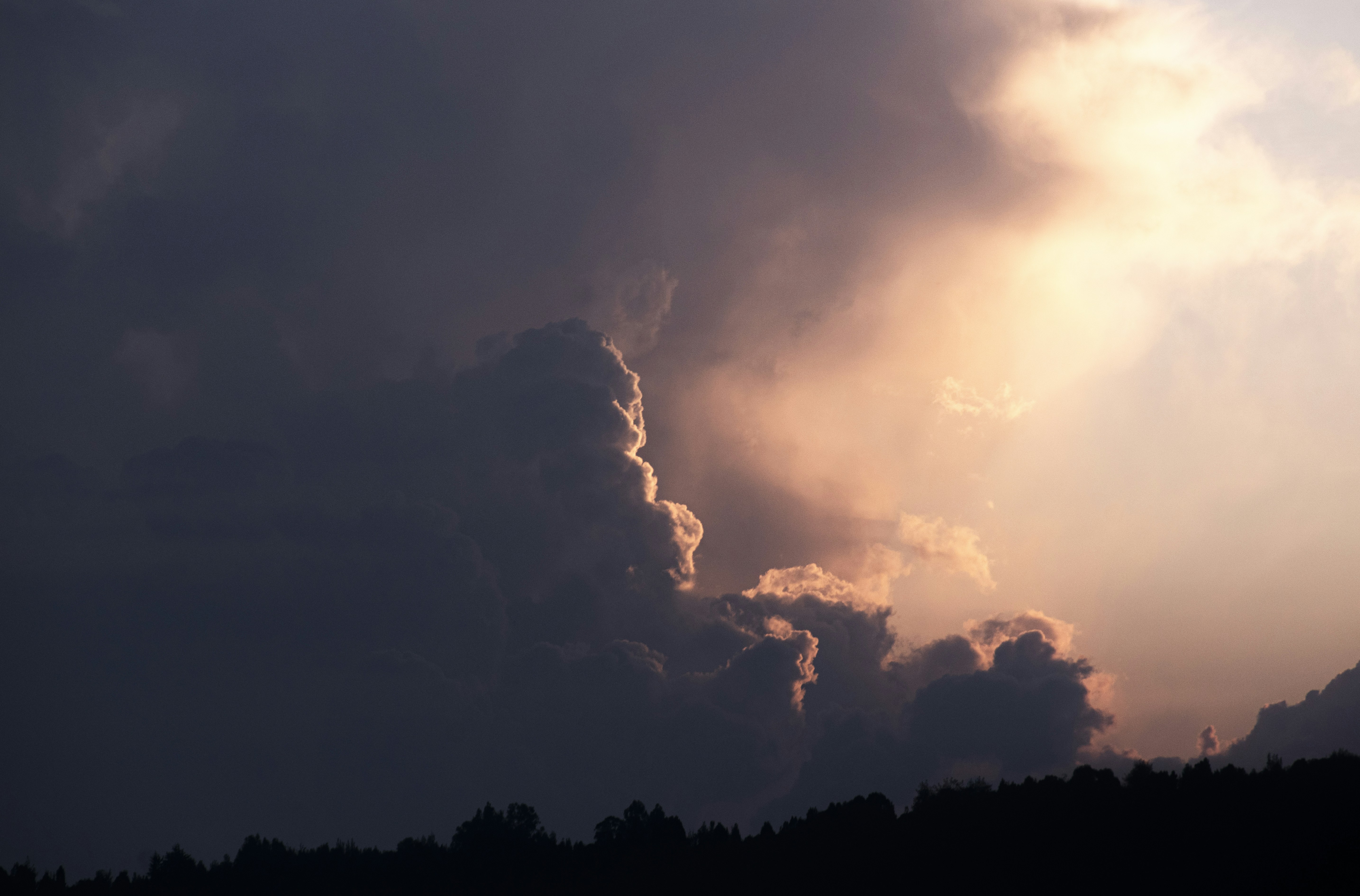 Photo by Sebastian Laverde with Nikon D3500