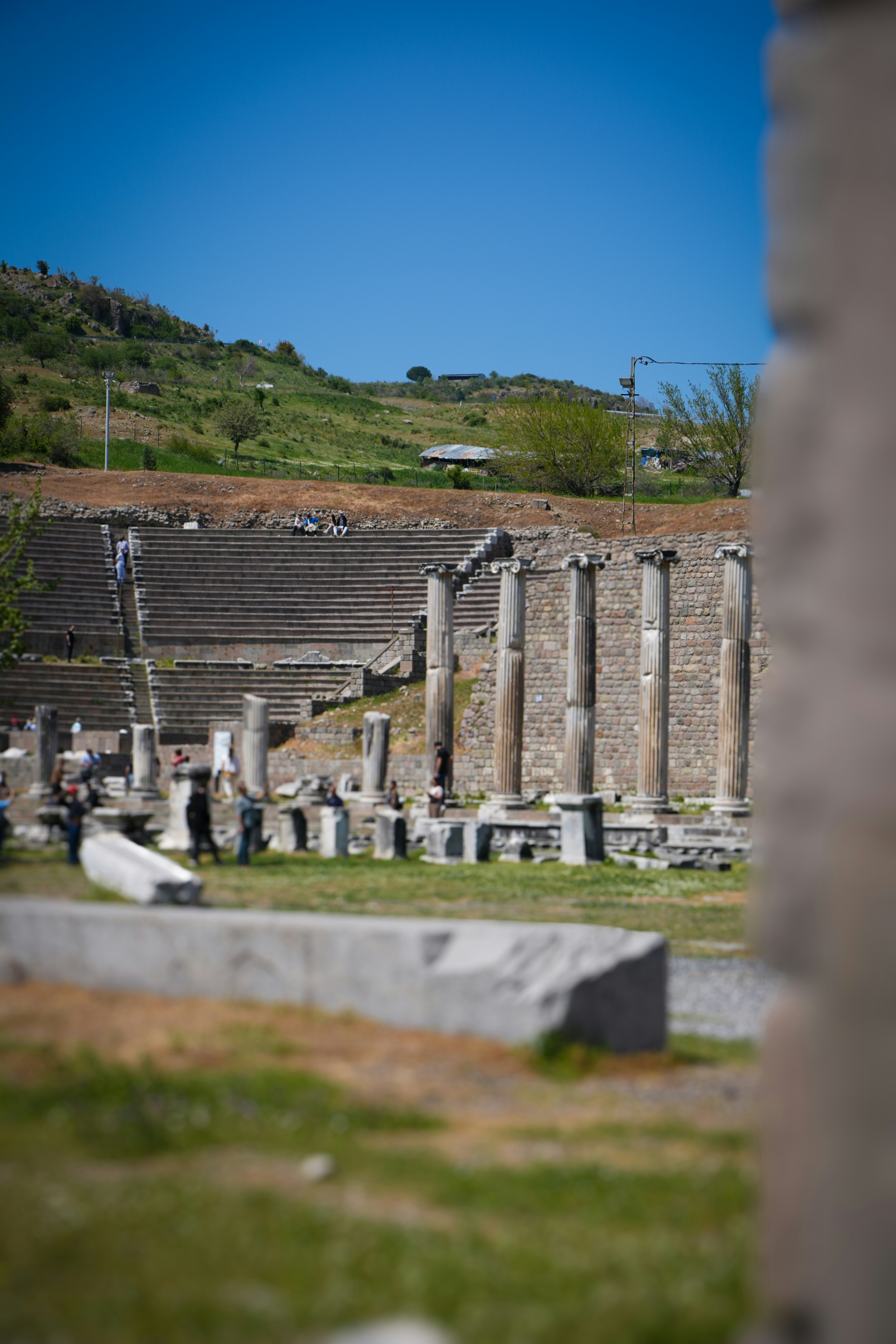 A group of people standing around a cemetery photo – Free Human Image ...