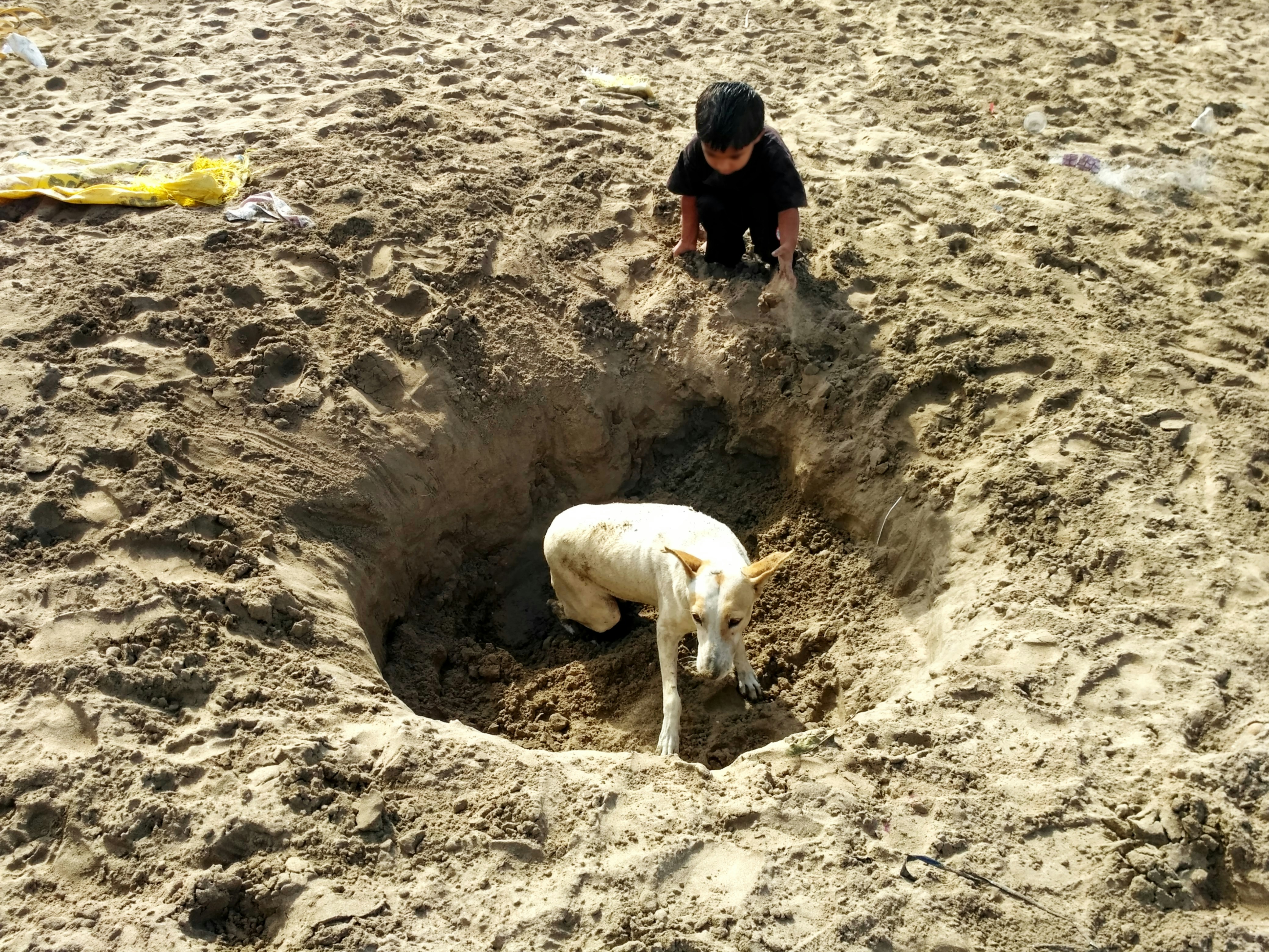 A dog sits in a circular hole dug in the sand on a beach, watched by a child crouching at the rim.