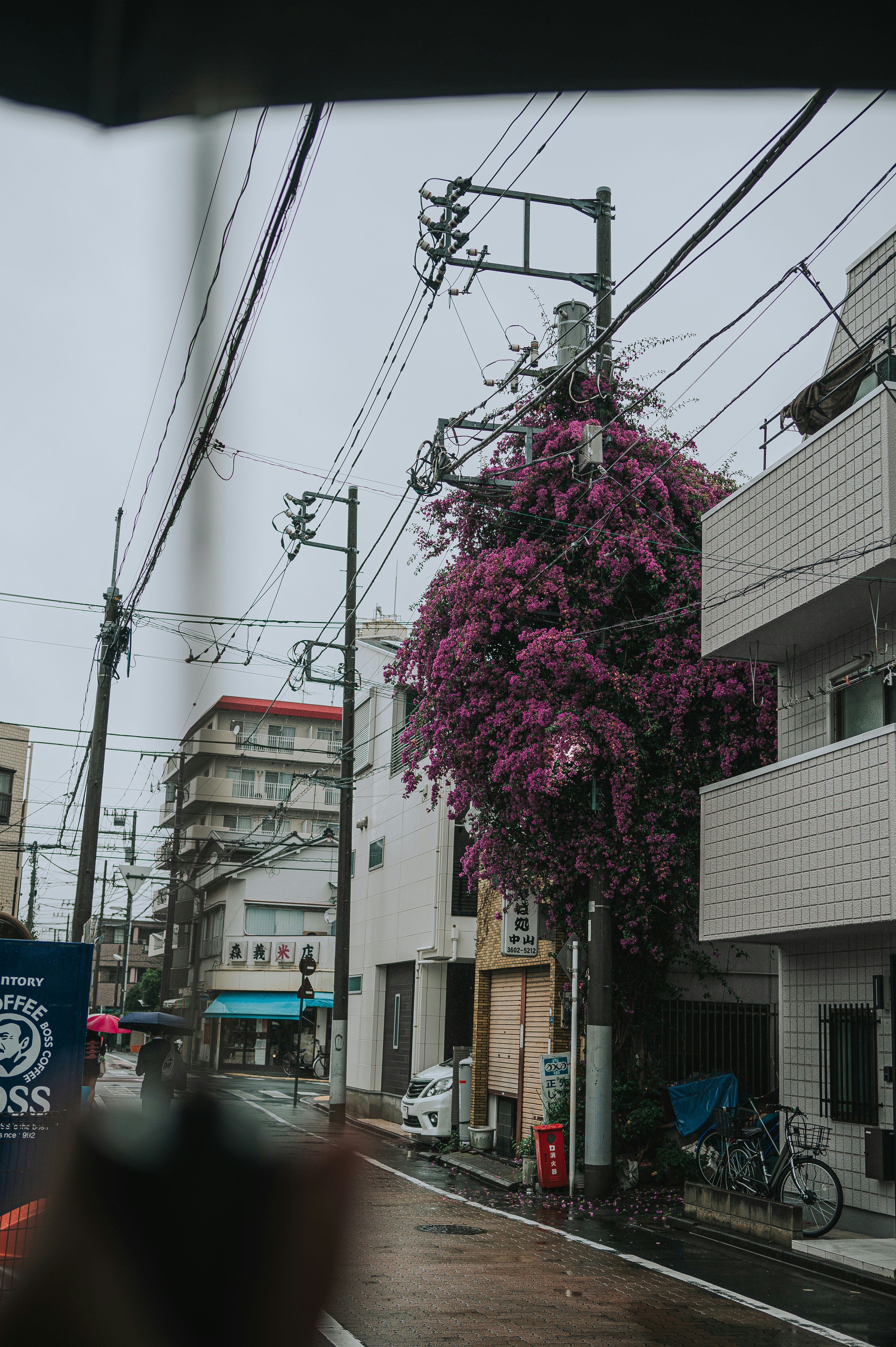 Photo by Ryunosuke Kikuno with Nikon Z6 II