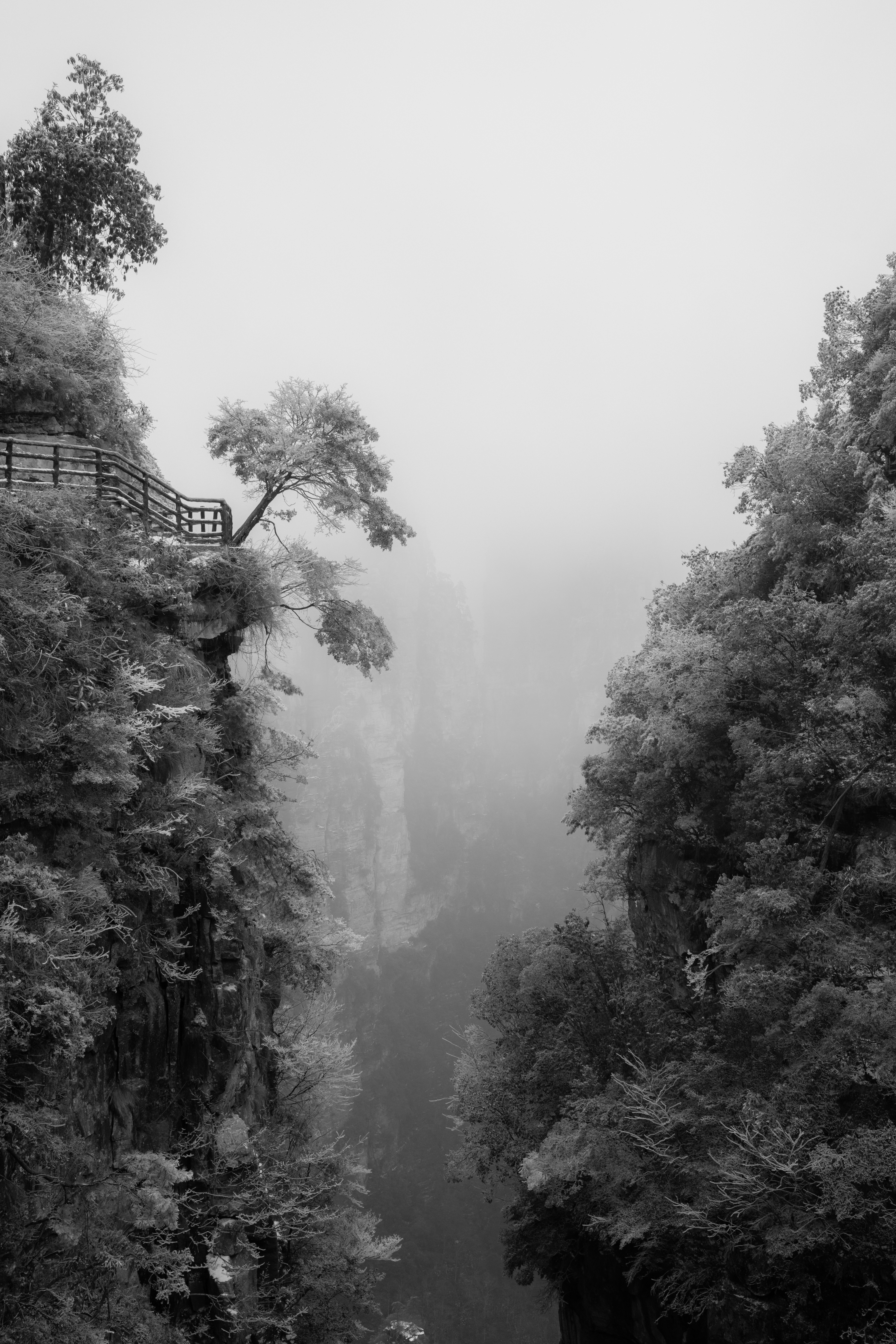 Photo by Gabor Koszegi with Nikon Z7