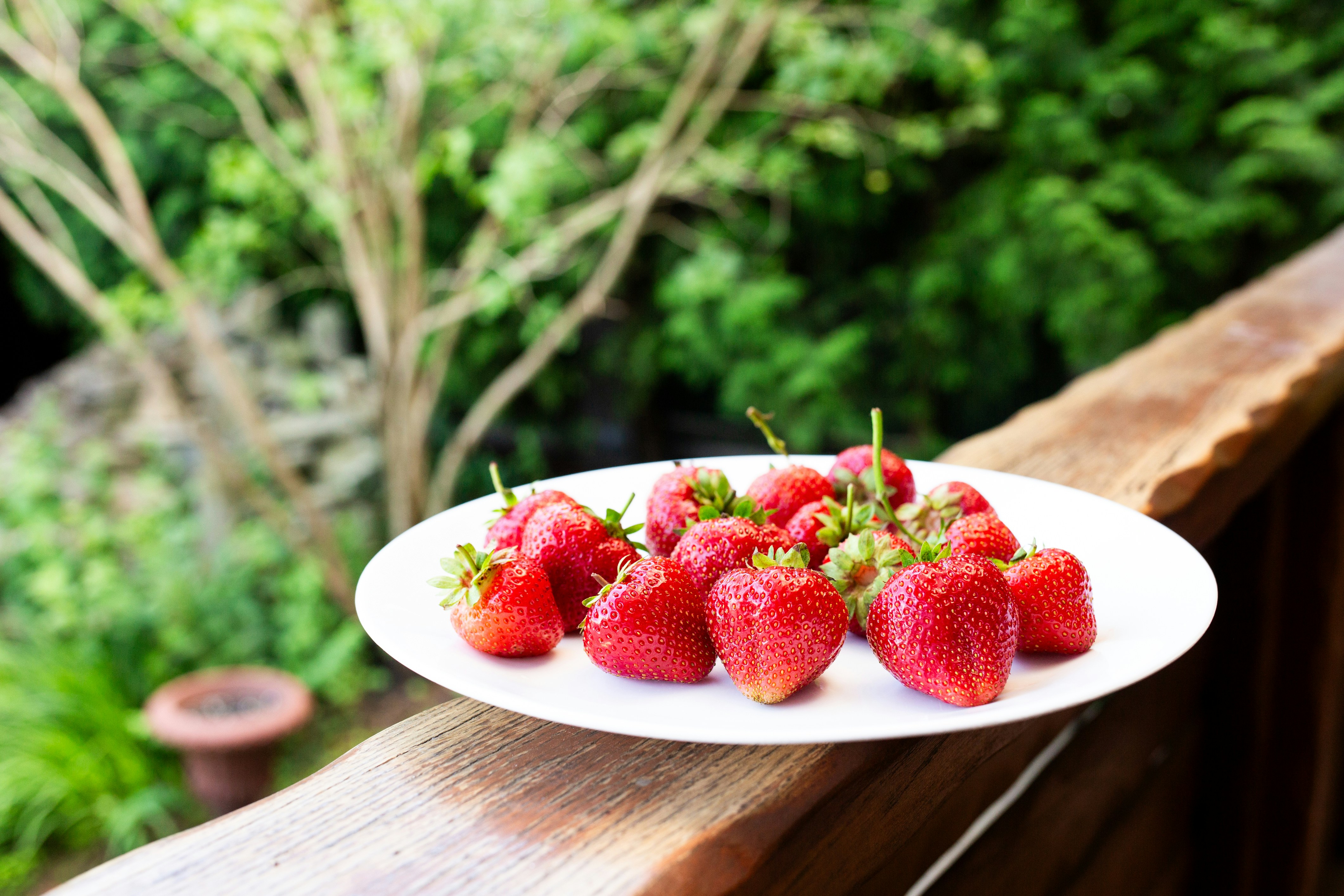كيفية تحضير موس الفراولة الطازجة - هاو عربي