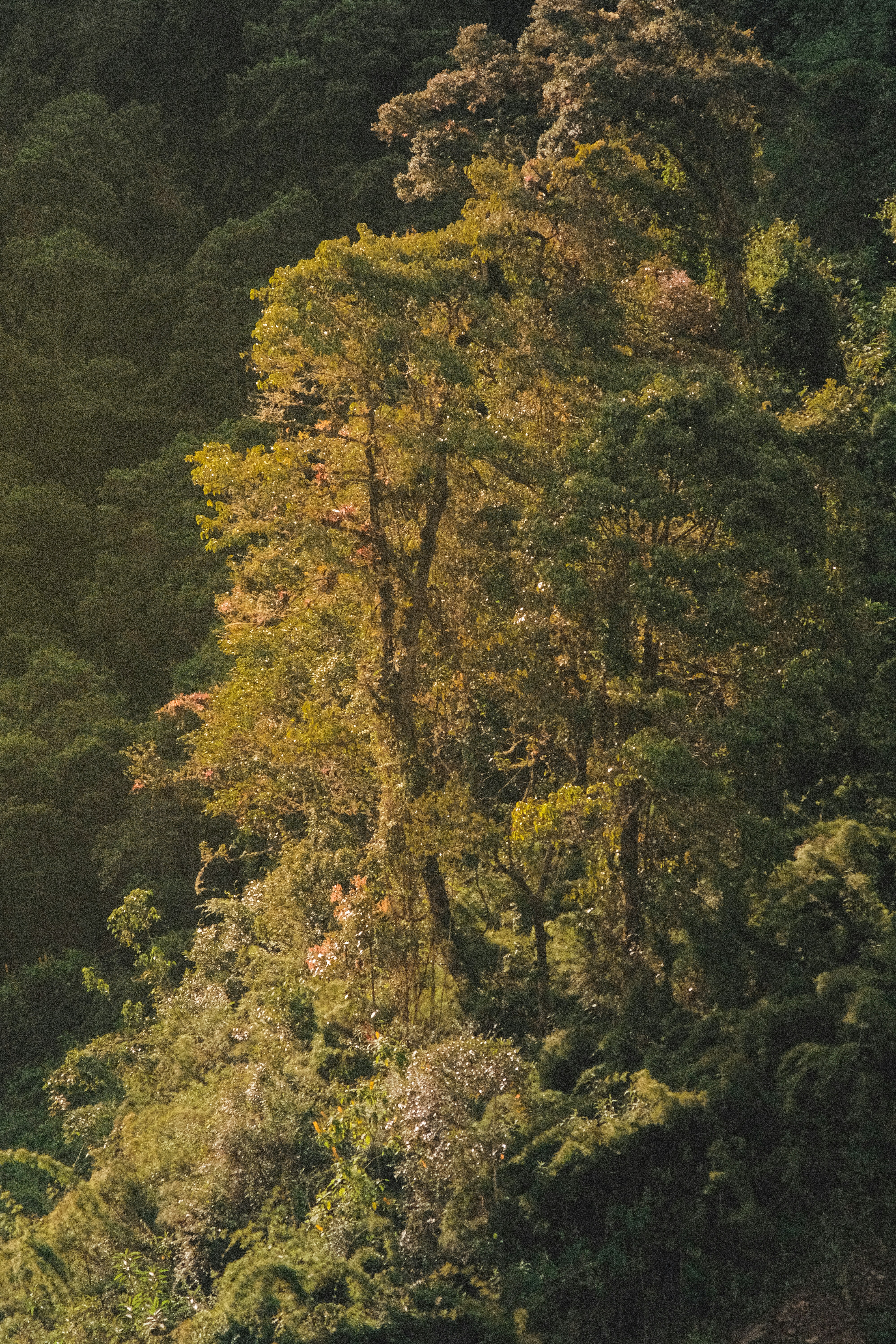 Photo by José Ignacio Pompé with Fujifilm X-T20