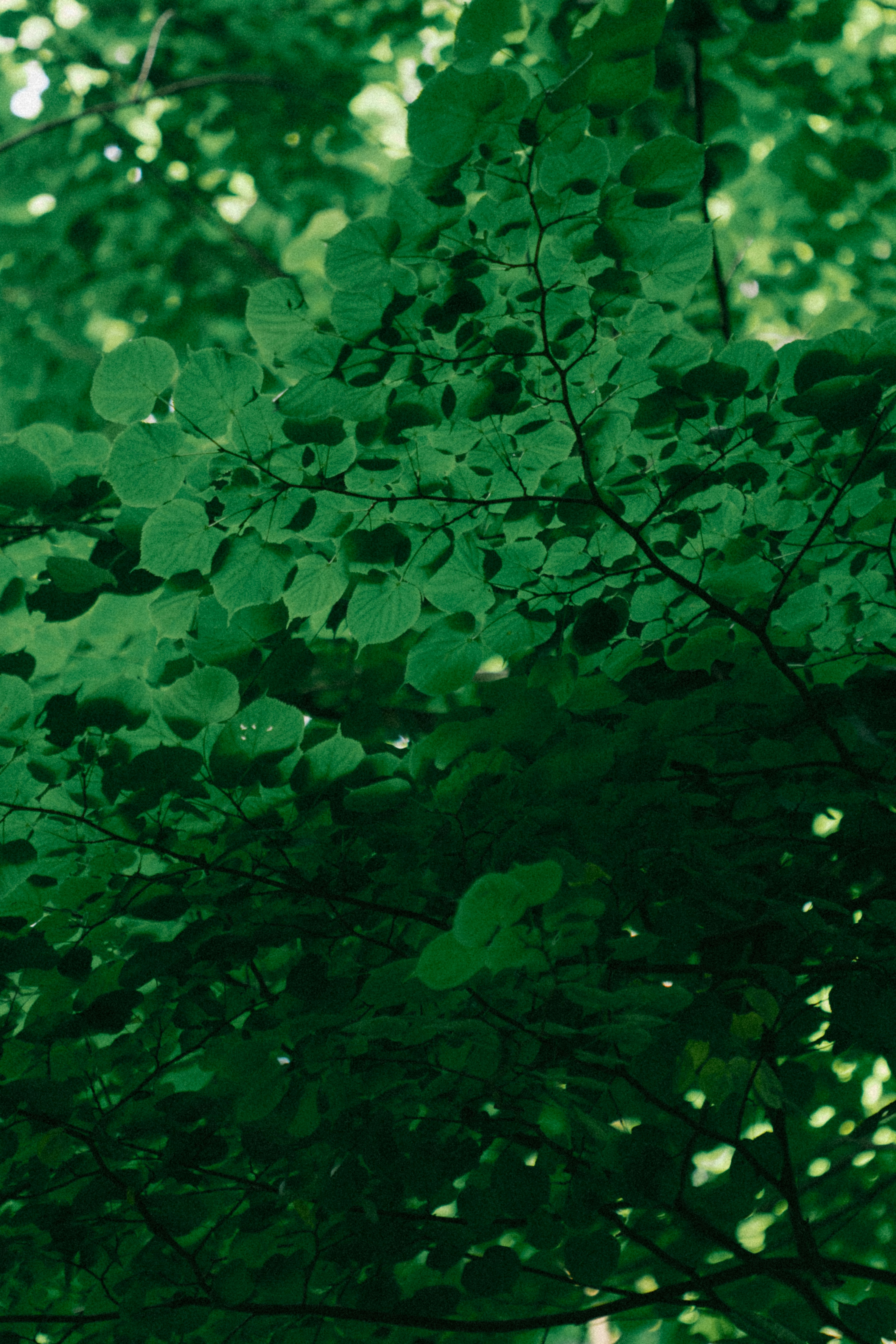 Photo by Ashe Walker with Fujifilm X-T4