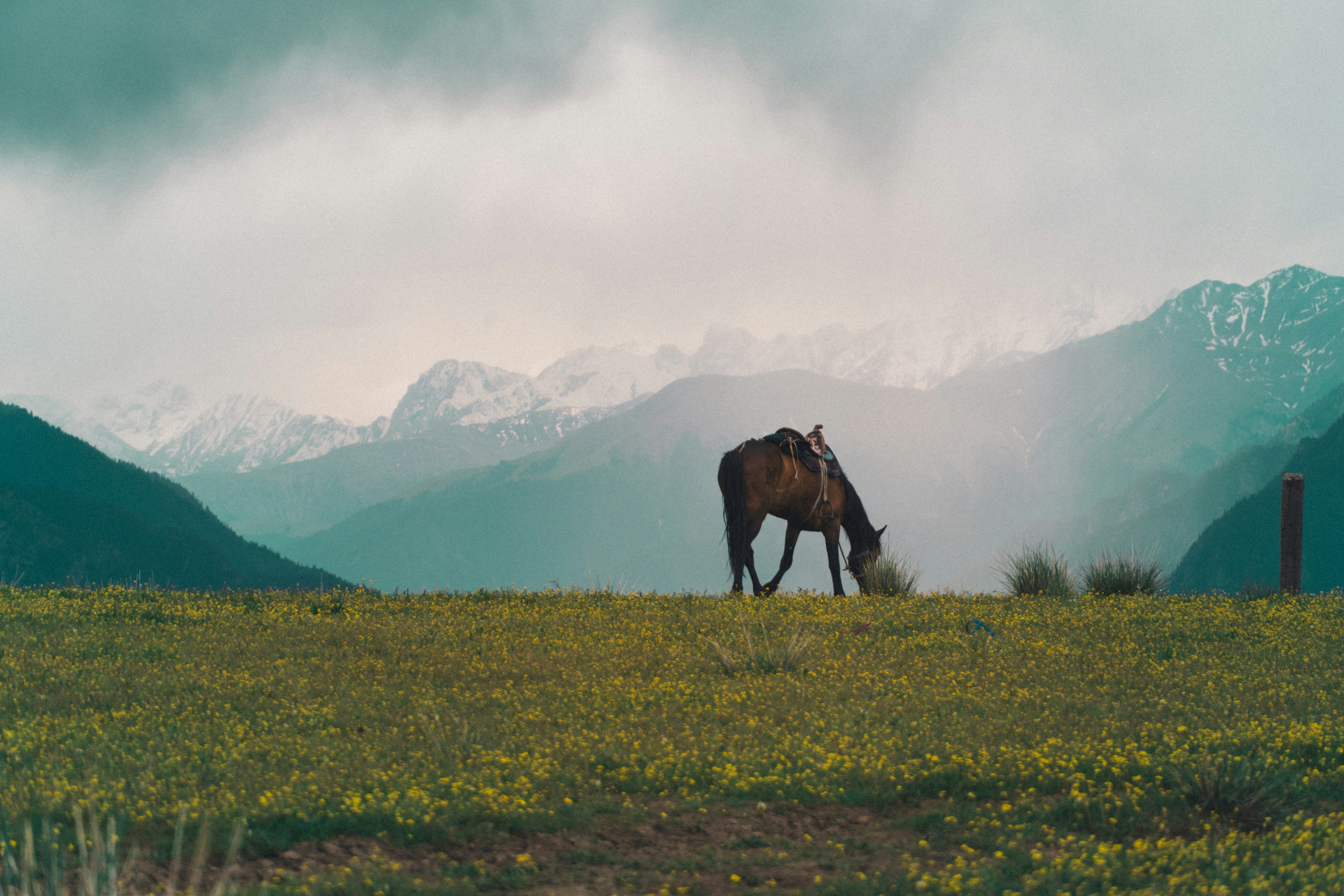 Nomadic Pictures | Download Free Images on Unsplash