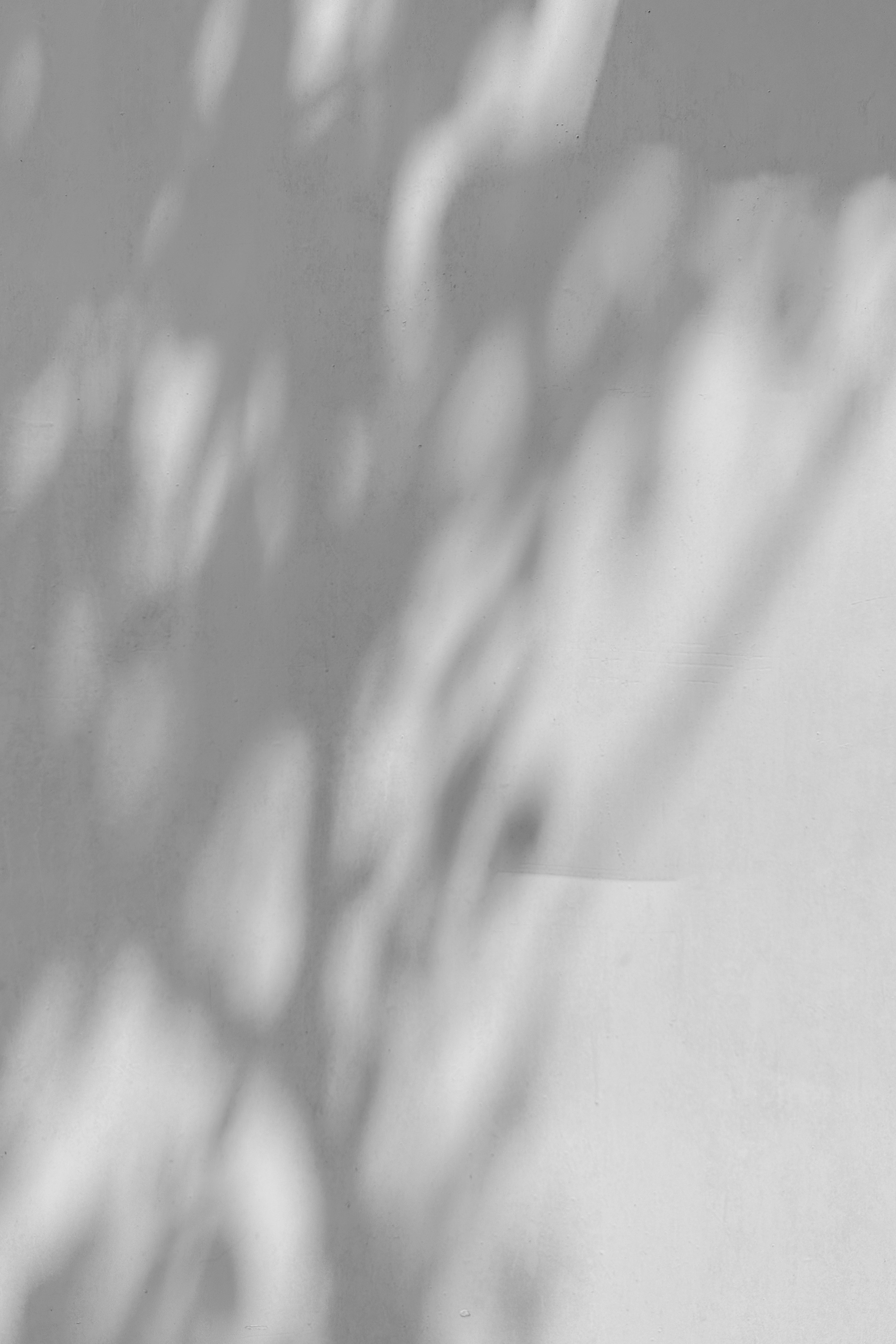 30,000+ Light And Shadow Pictures | Download Free Images on Unsplash