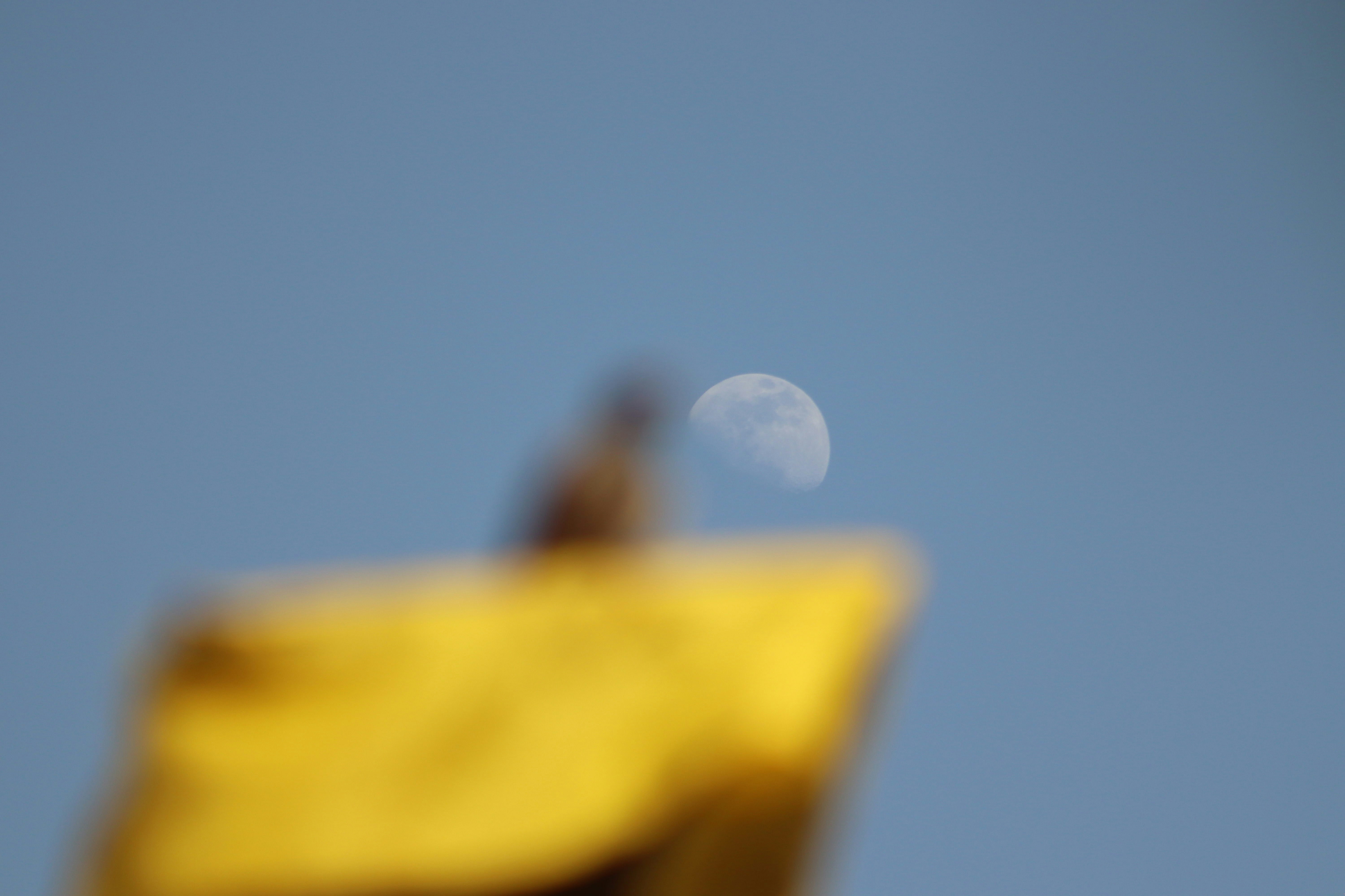 Crescent Moon Above a Blur of Yellow Banner in a Clear Sky