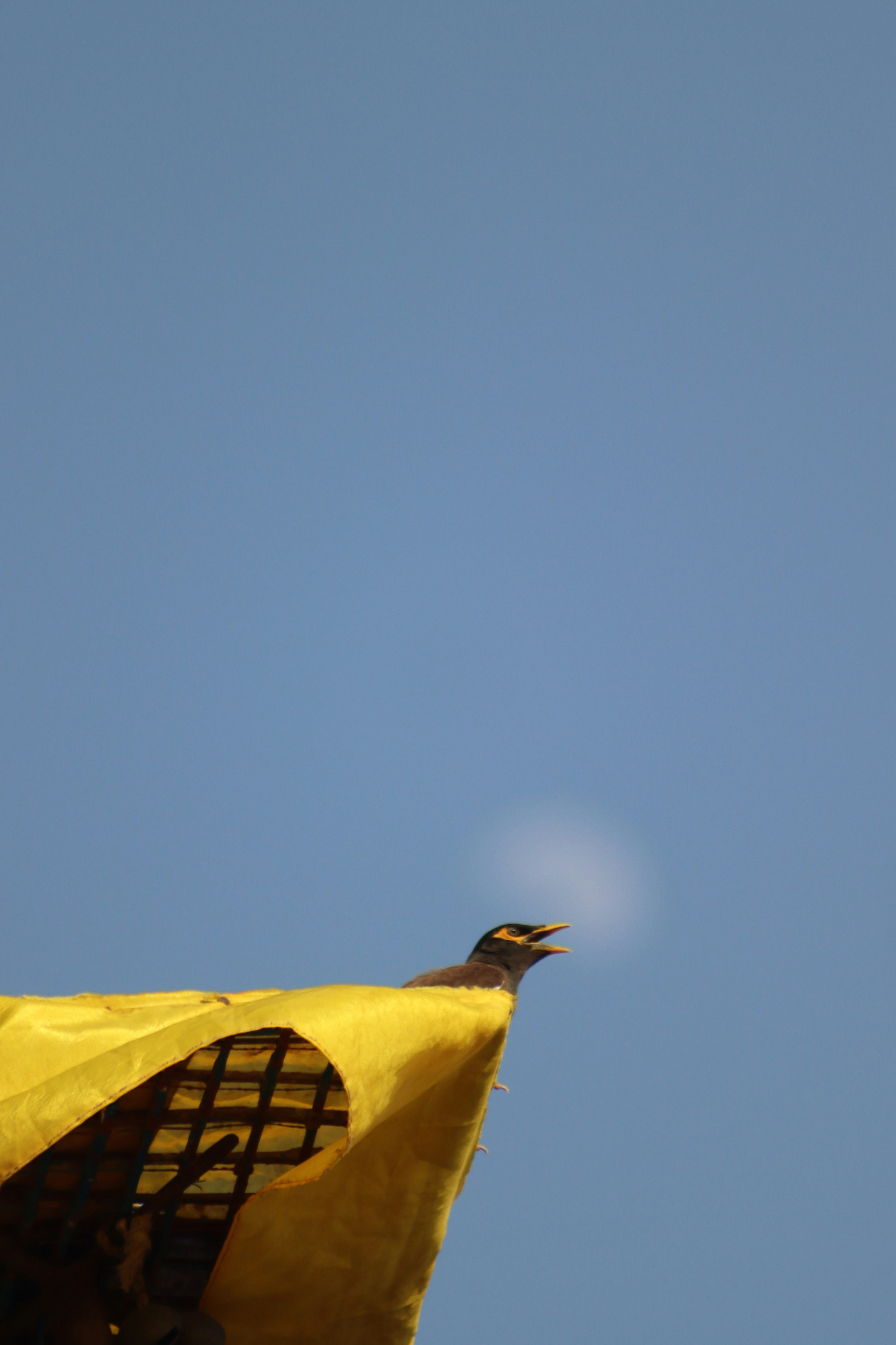 Photo by Anees Ur Rehman with Canon EOS 250D