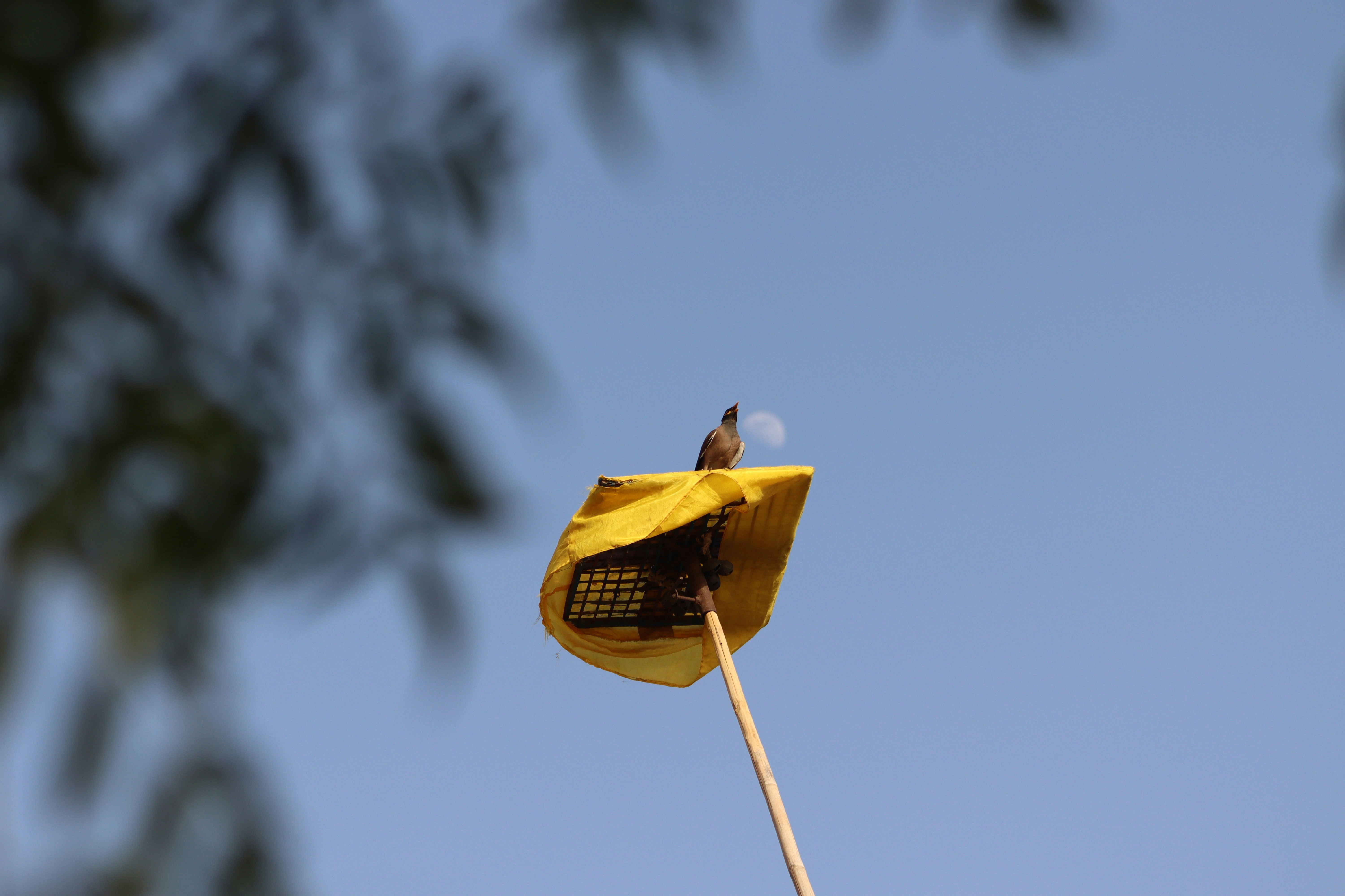 Photo by Anees Ur Rehman with Canon EOS 250D